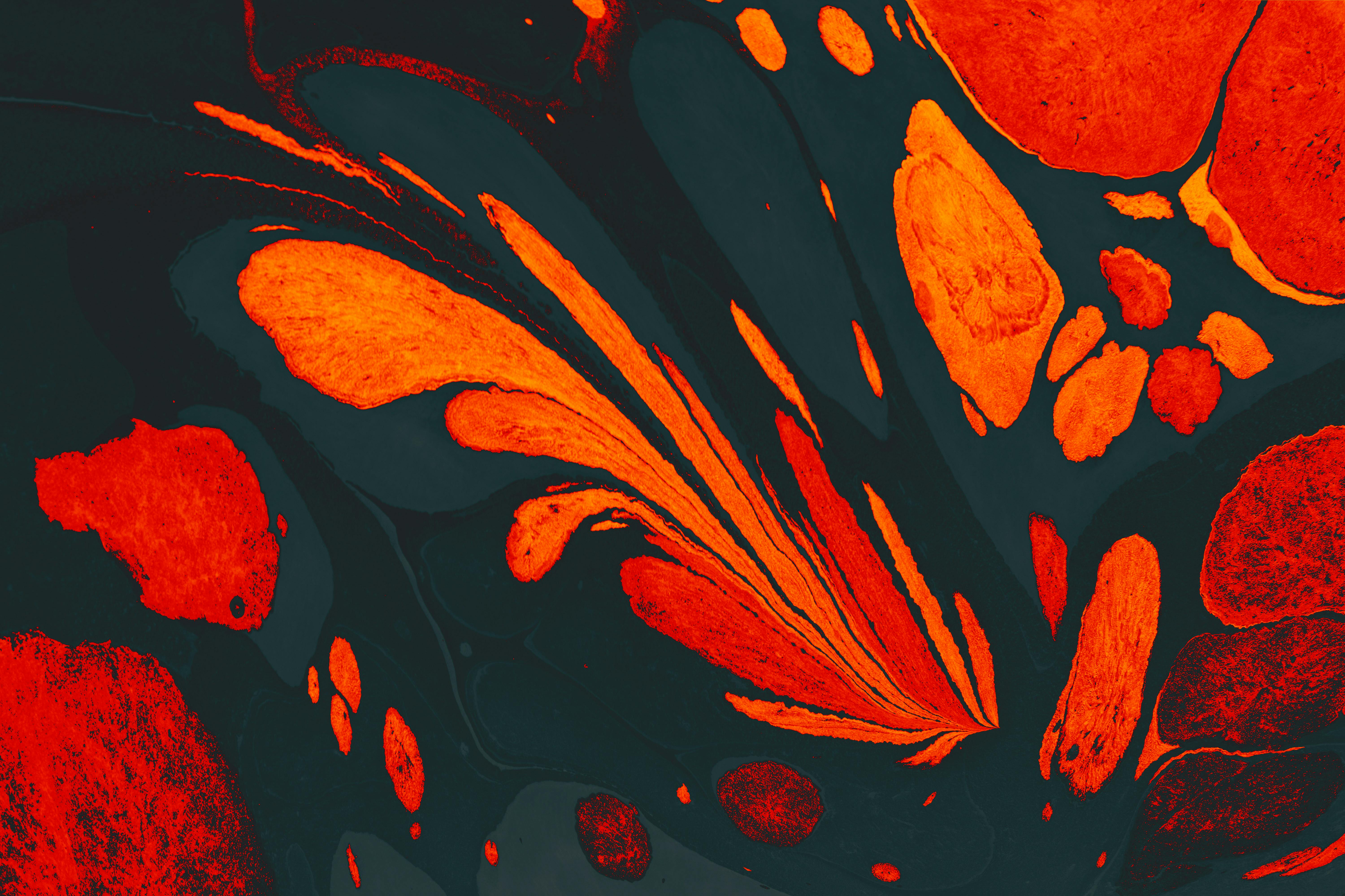 Black and Red Liquid Abstract · Free Stock Photo