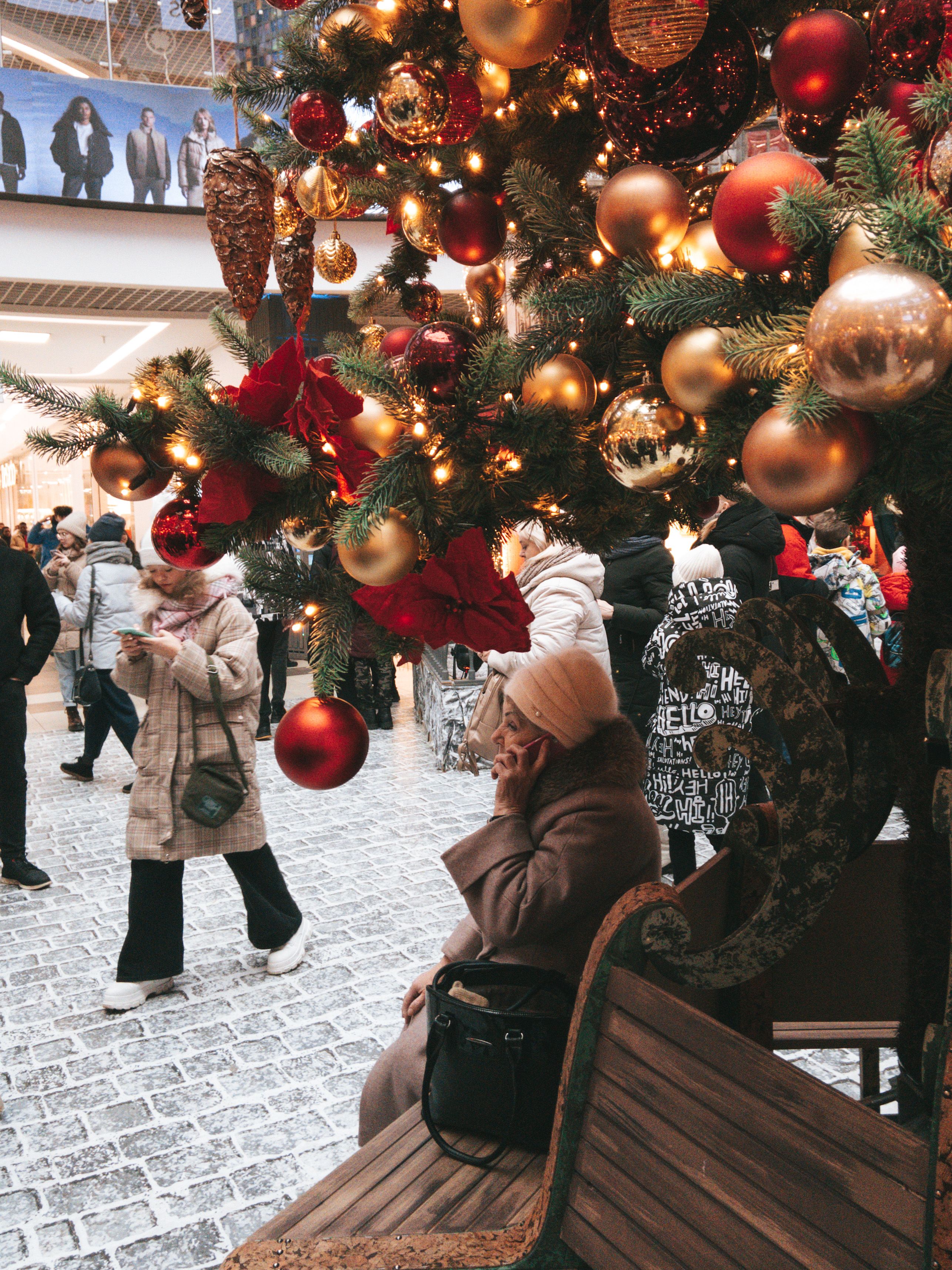 A Person Sitting on Bench Under a Christmas Tree · Free Stock Photo