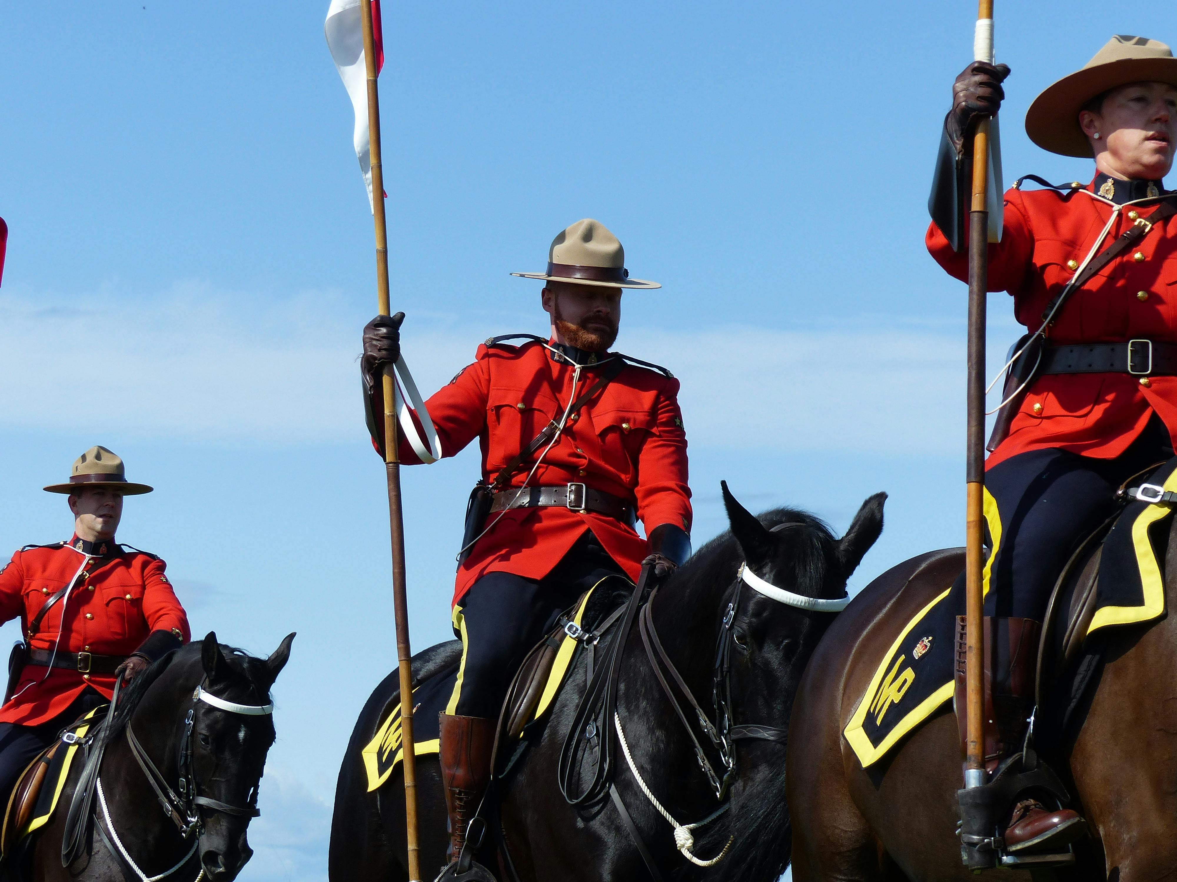 Anco van Moolenbroek - 사진