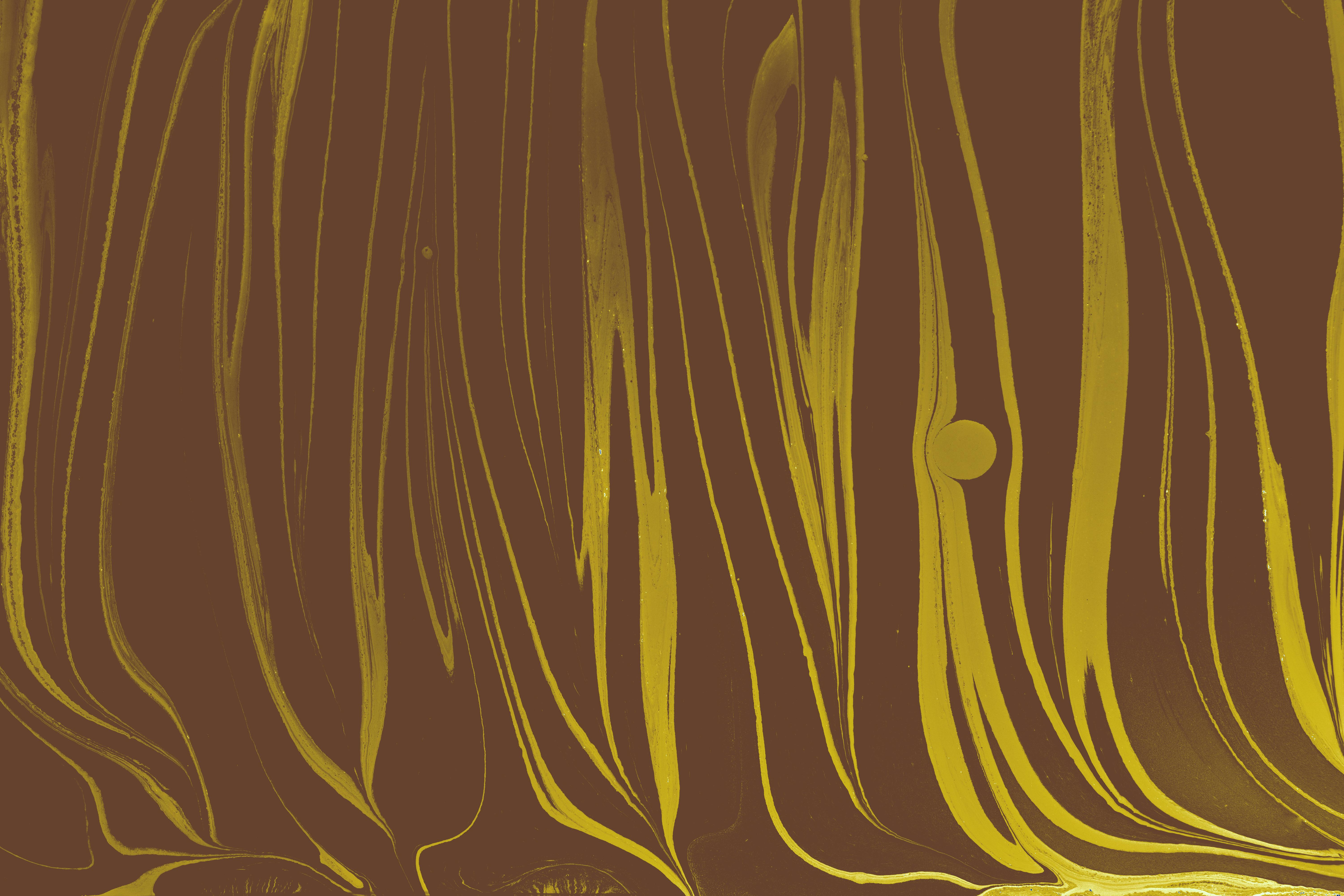 Art Painting Photos, Download The BEST Free Art Painting Stock Photos ...