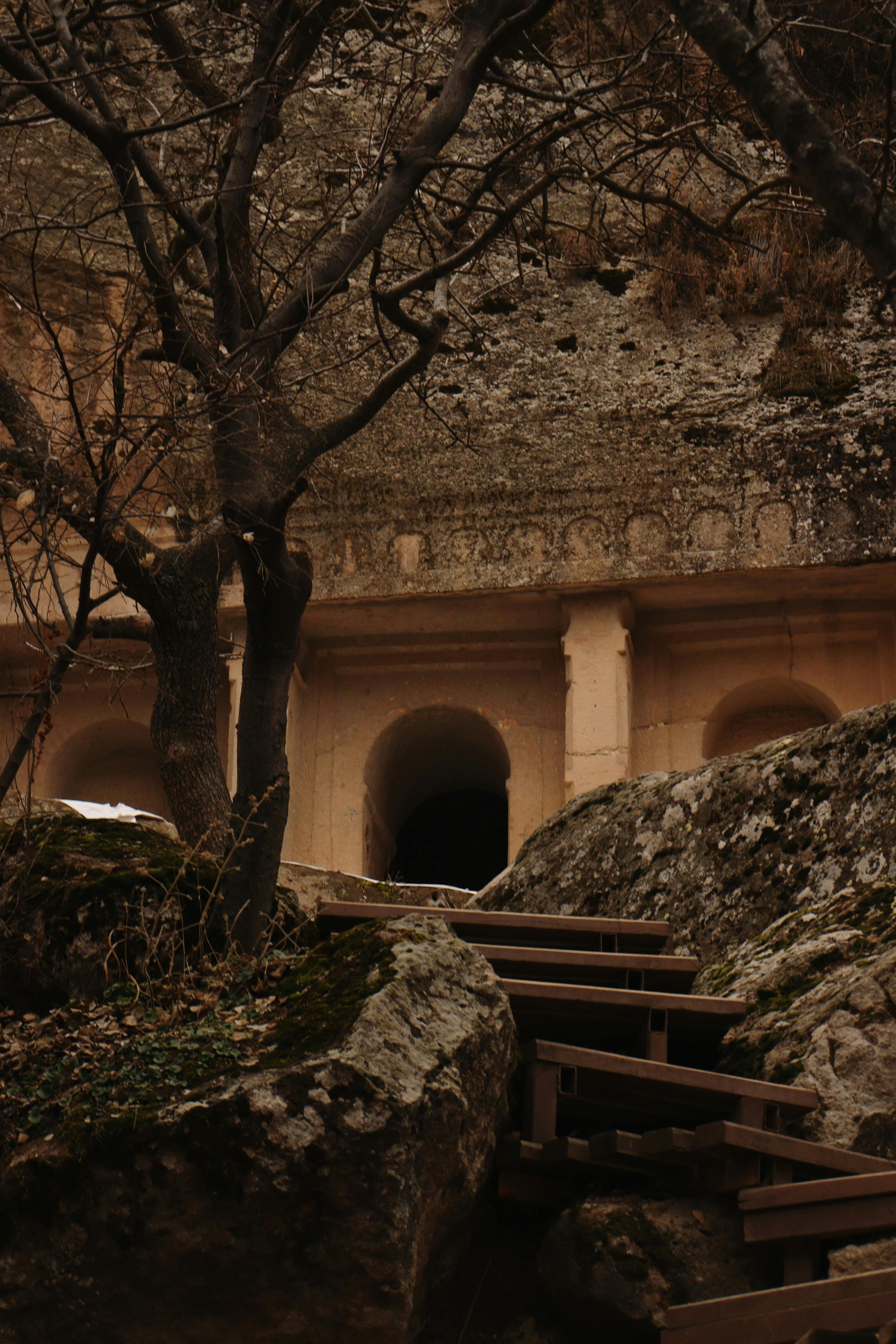 Foto stok gratis tentang bangunan, batu, dinding, pohon, rusak, tangga ...