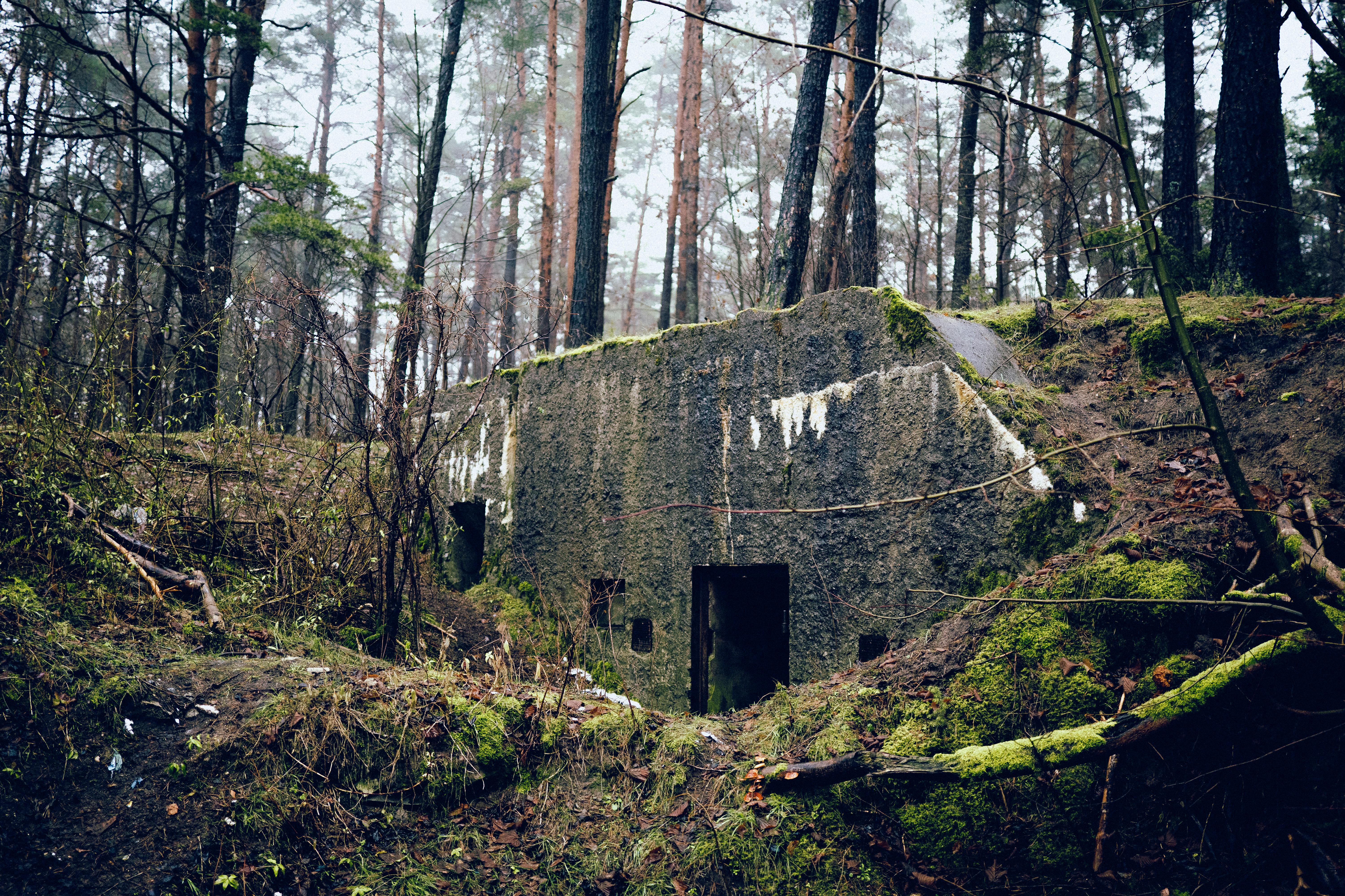 Bunker in Forest · Free Stock Photo