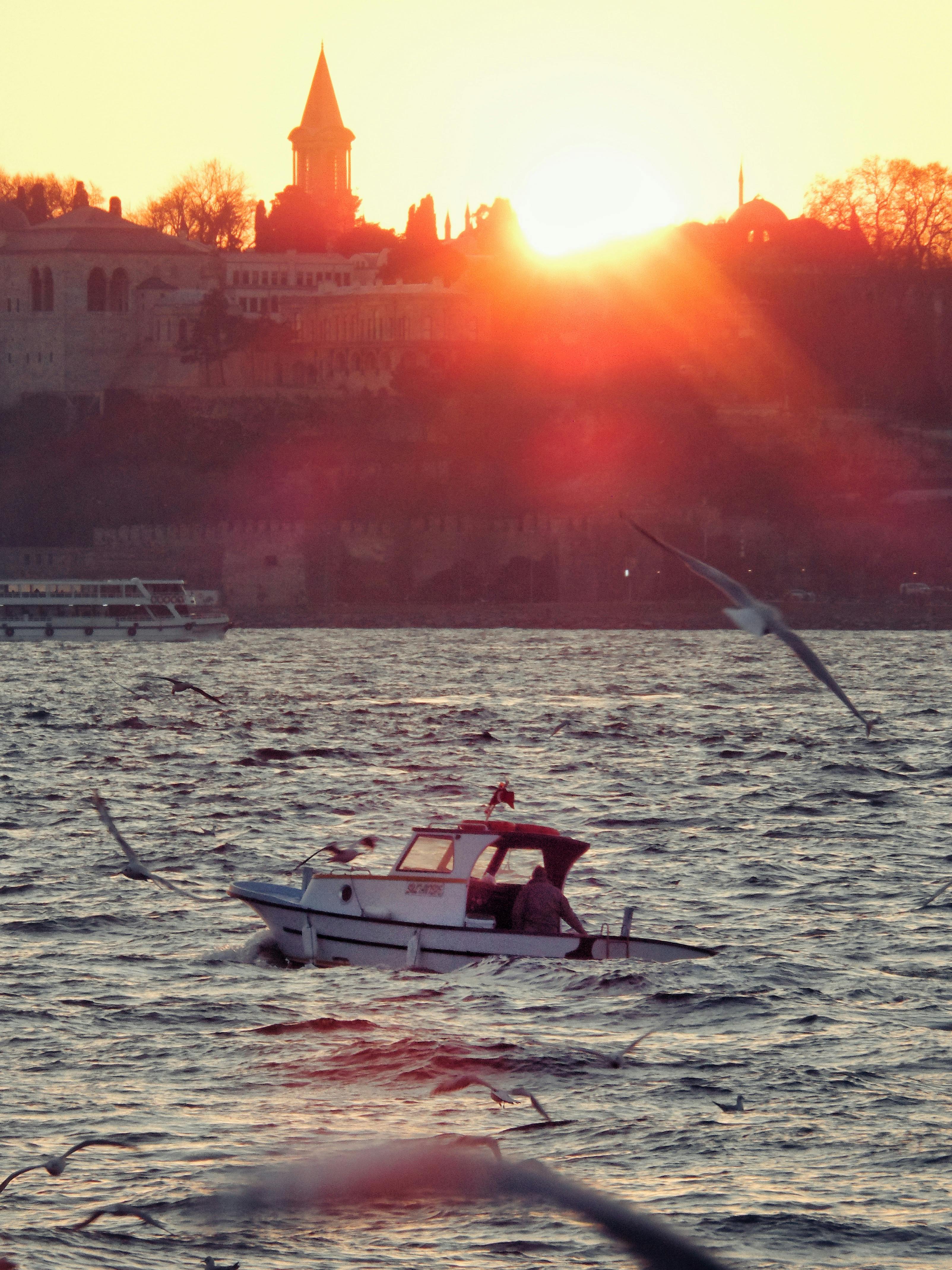 Photo of Motorboat on Sea · Free Stock Photo