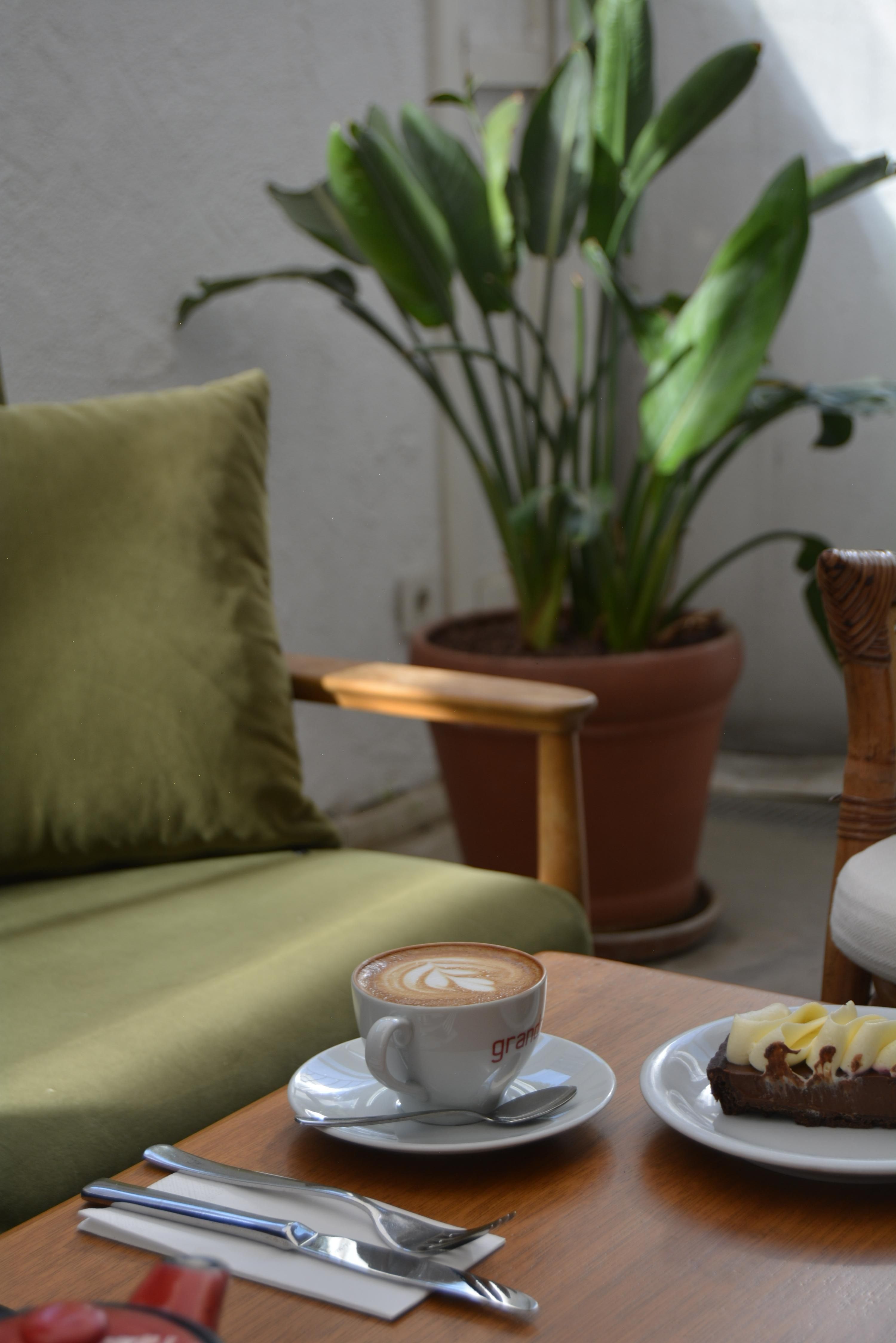 Cub Of Coffee Photos, Download Free Cub Of Coffee Stock Photos & HD Images