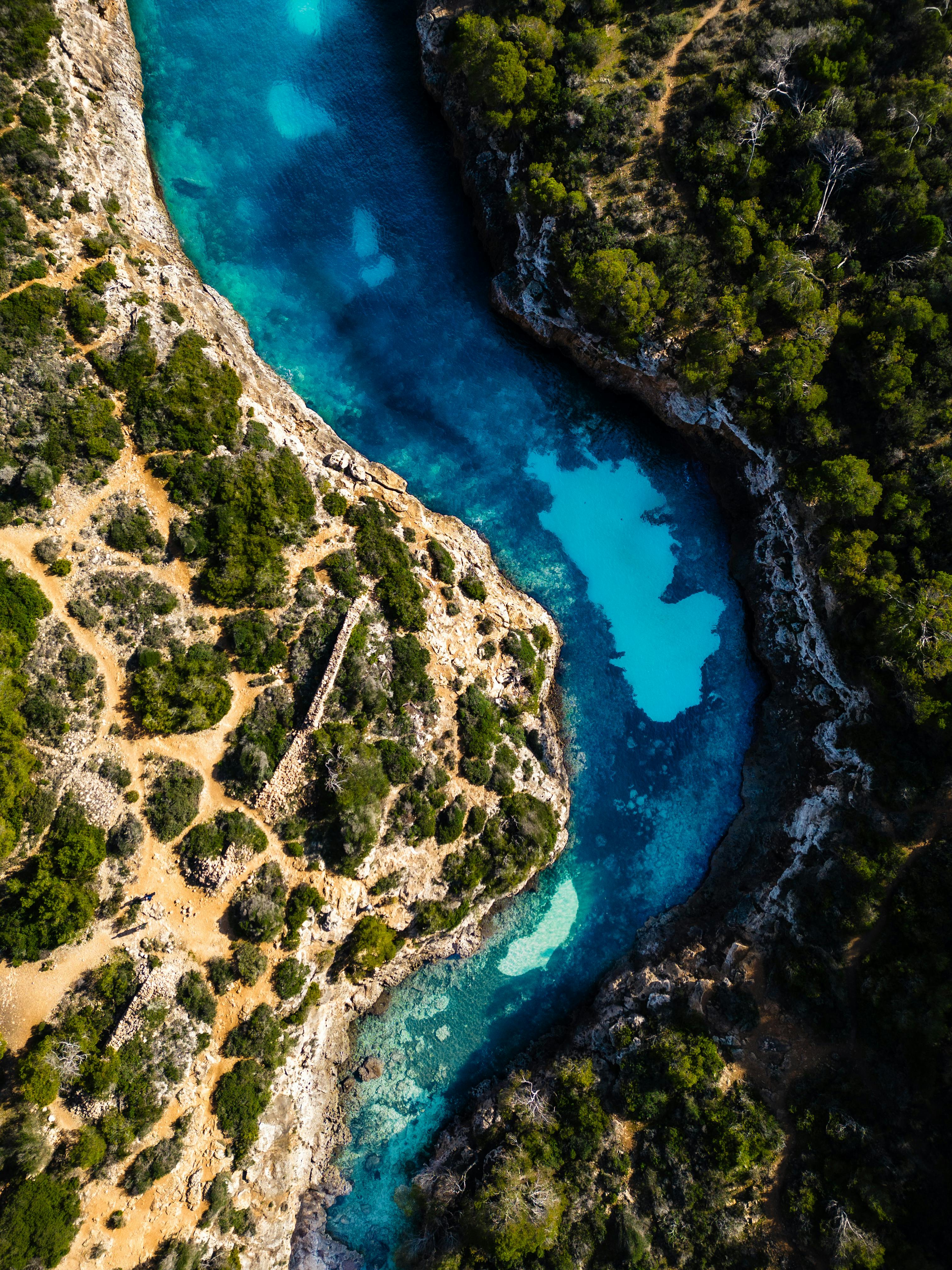 Tropical River in Birds Eye View · Free Stock Photo