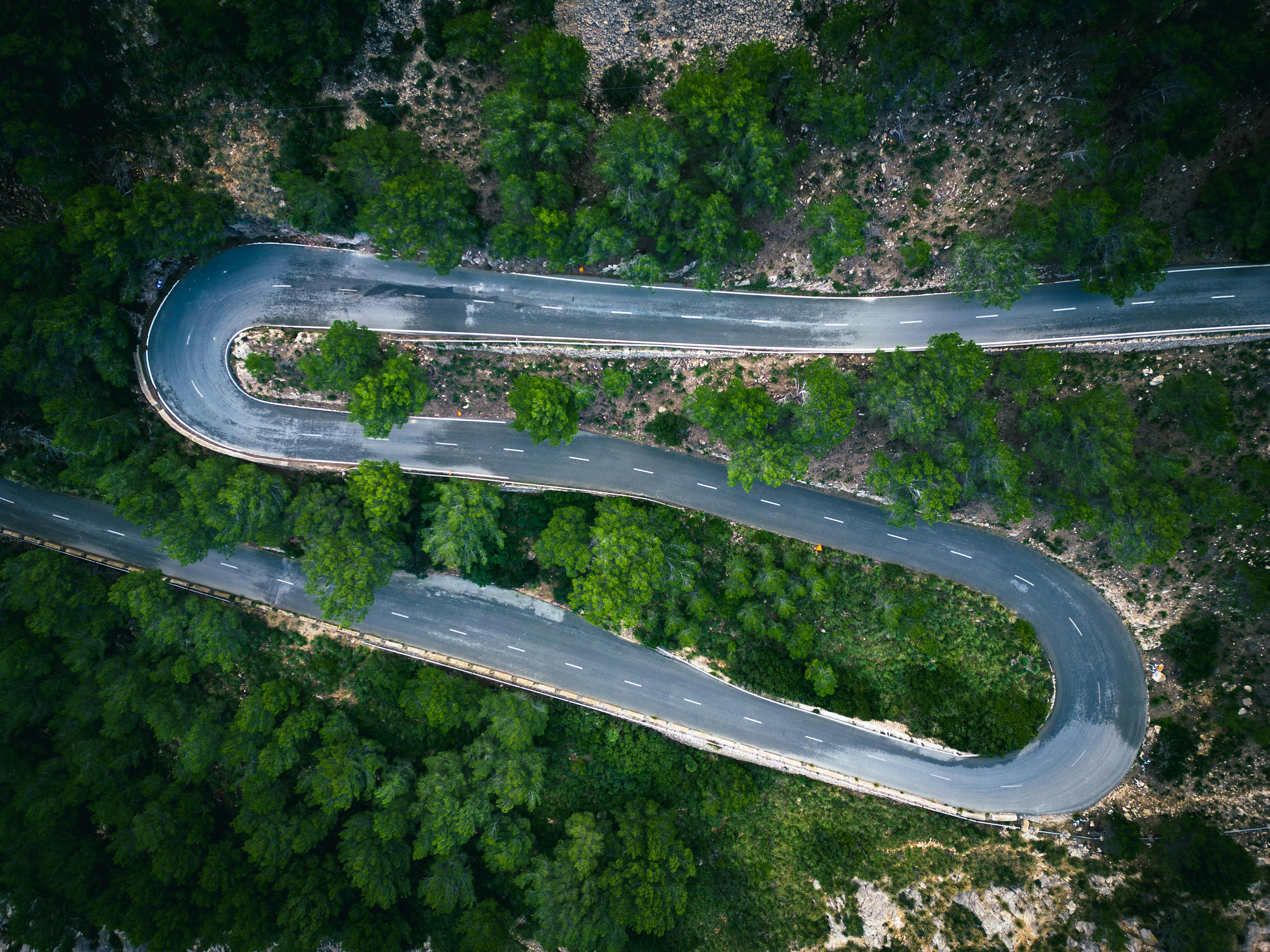 An Aerial Photography of Curved Road Between Green Trees · Free Stock Photo