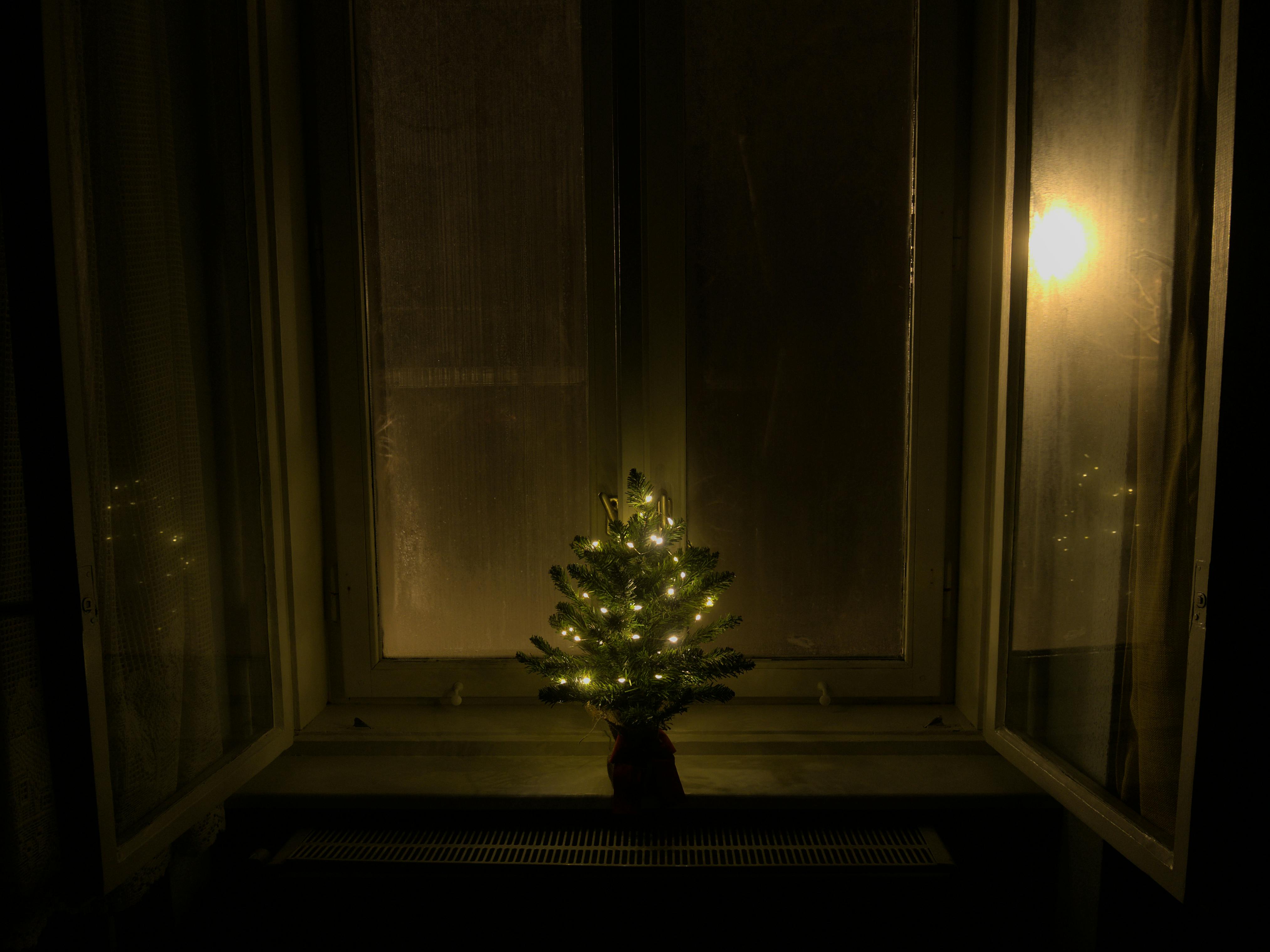 Windowsill Night Photos, Download The BEST Free Windowsill Night Stock ...