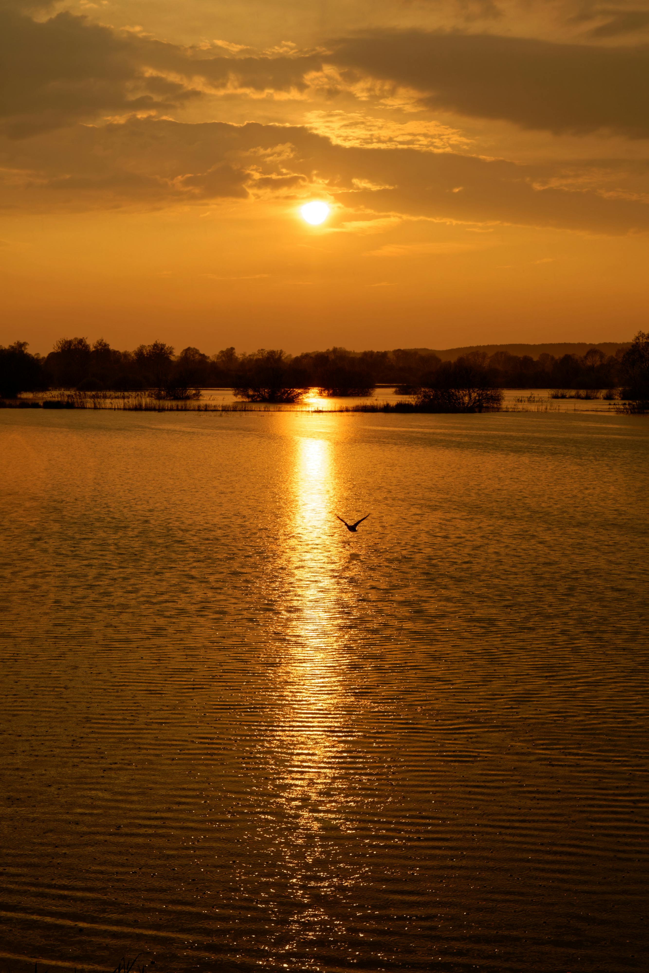 Photo of River during Sunset · Free Stock Photo