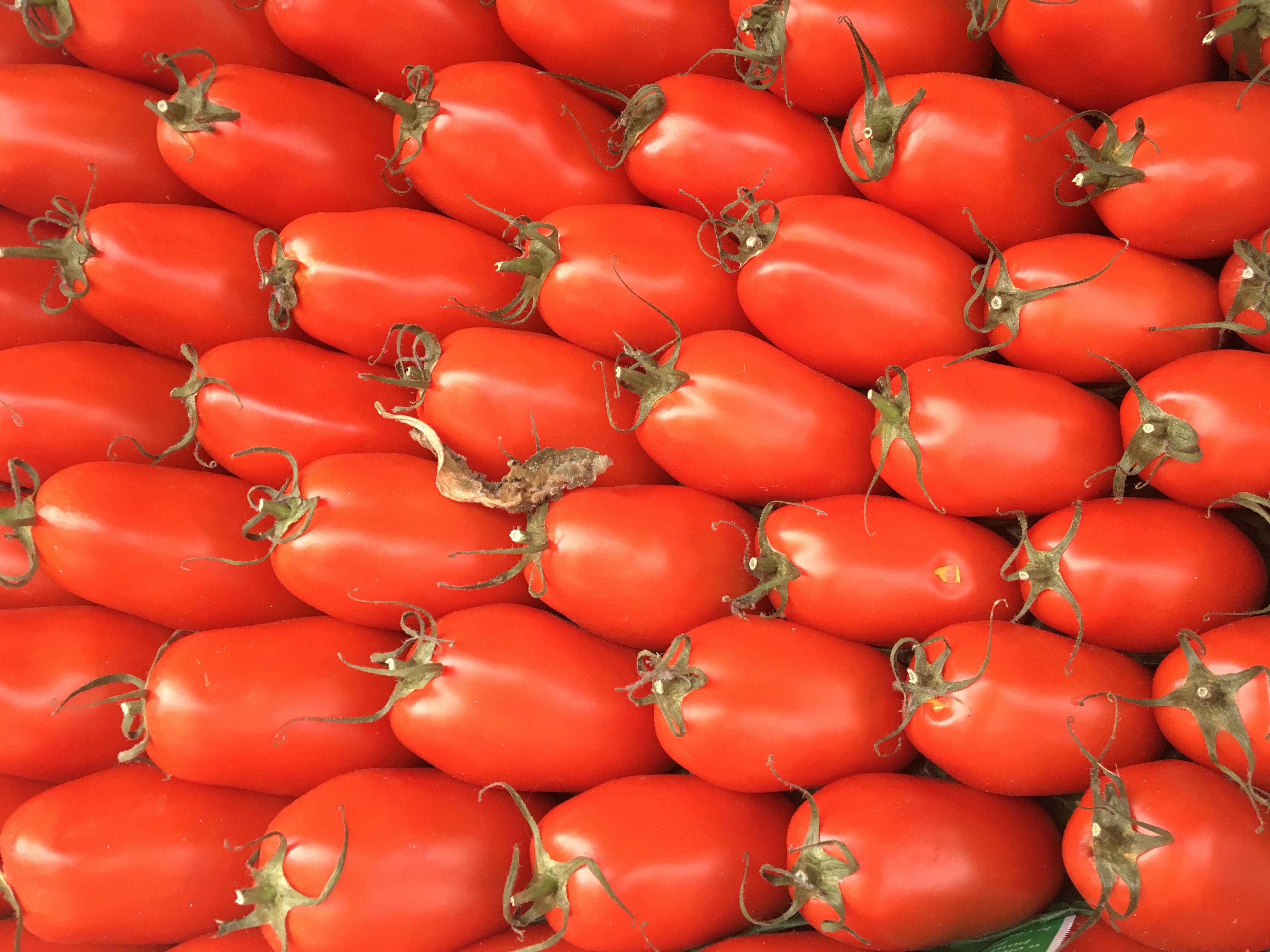 Red Scribbless Photos, Download Free Red Scribbless Stock Photos & HD ...