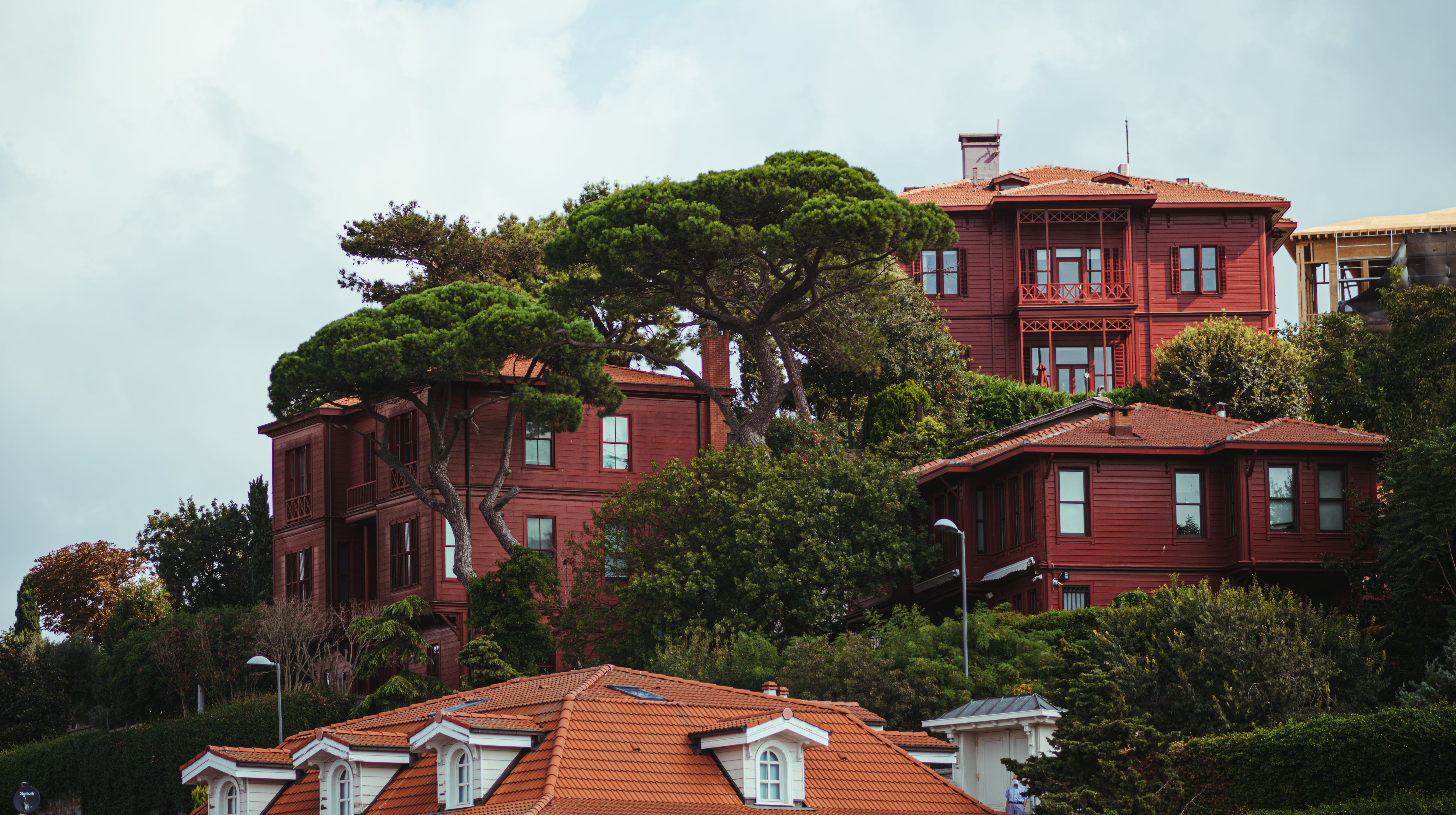 Buildings Between Trees · Free Stock Photo