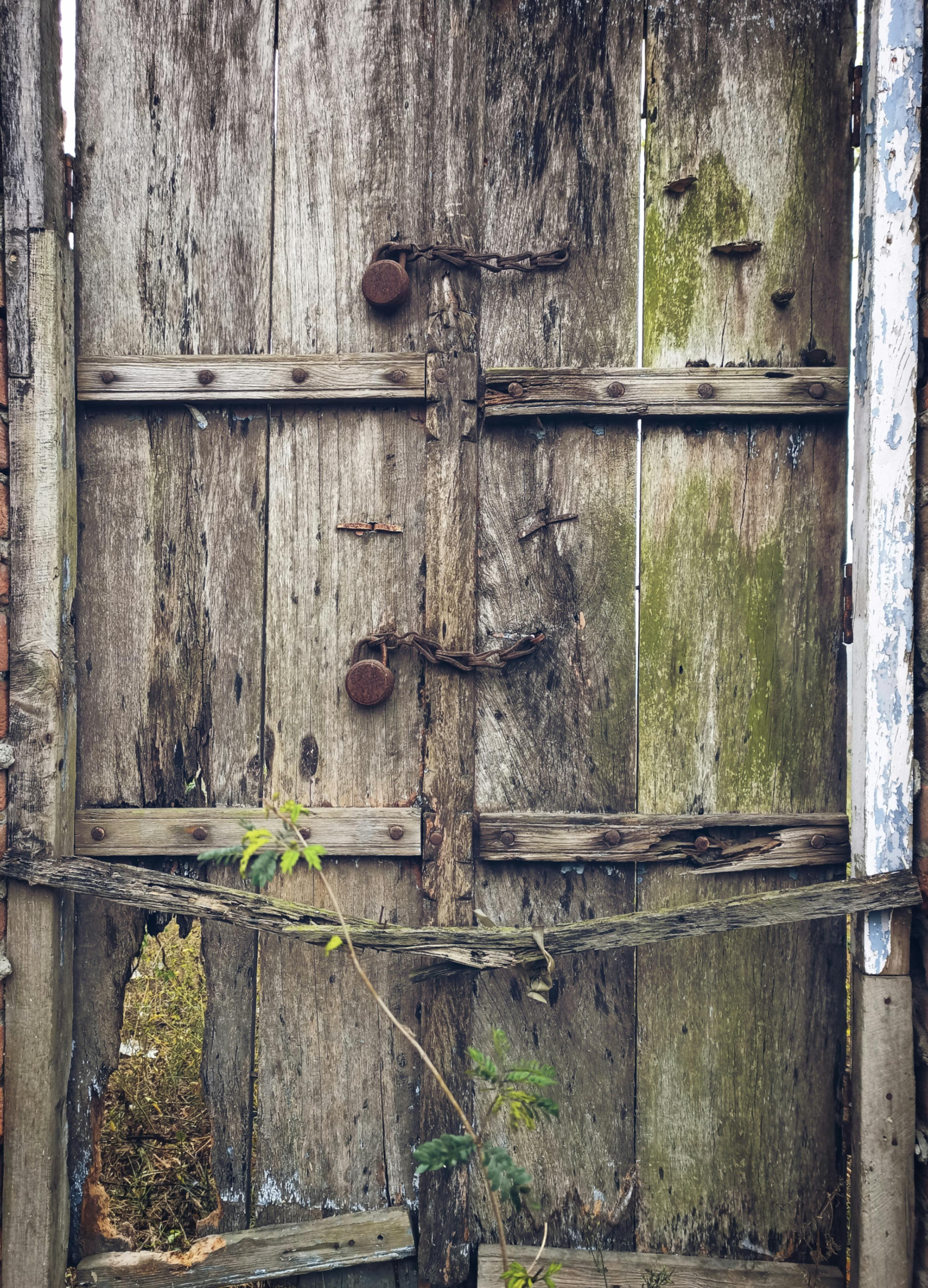 Sukhpal Gharu - 사진