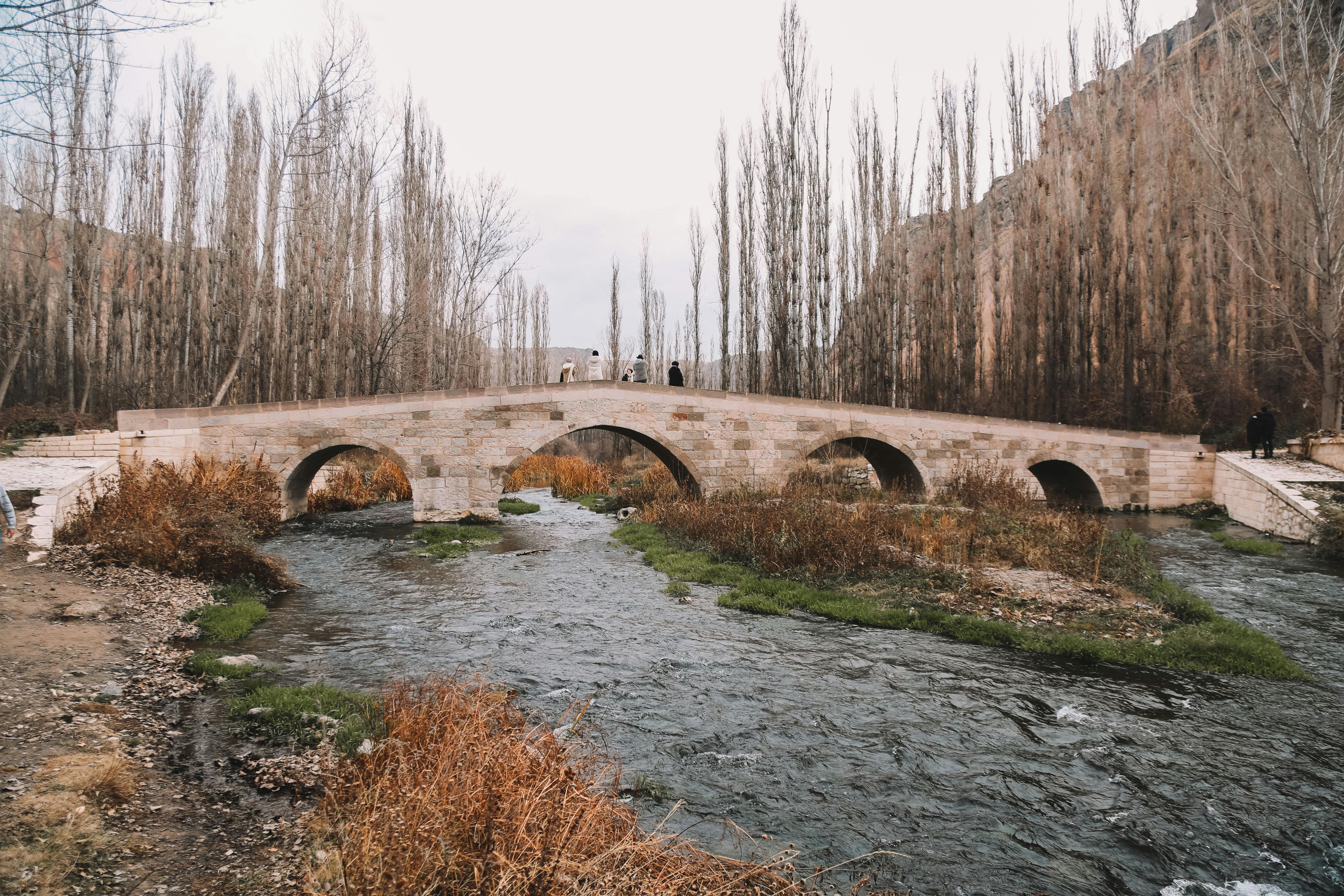 Is Cross River Bank in Trouble After FDIC Action?