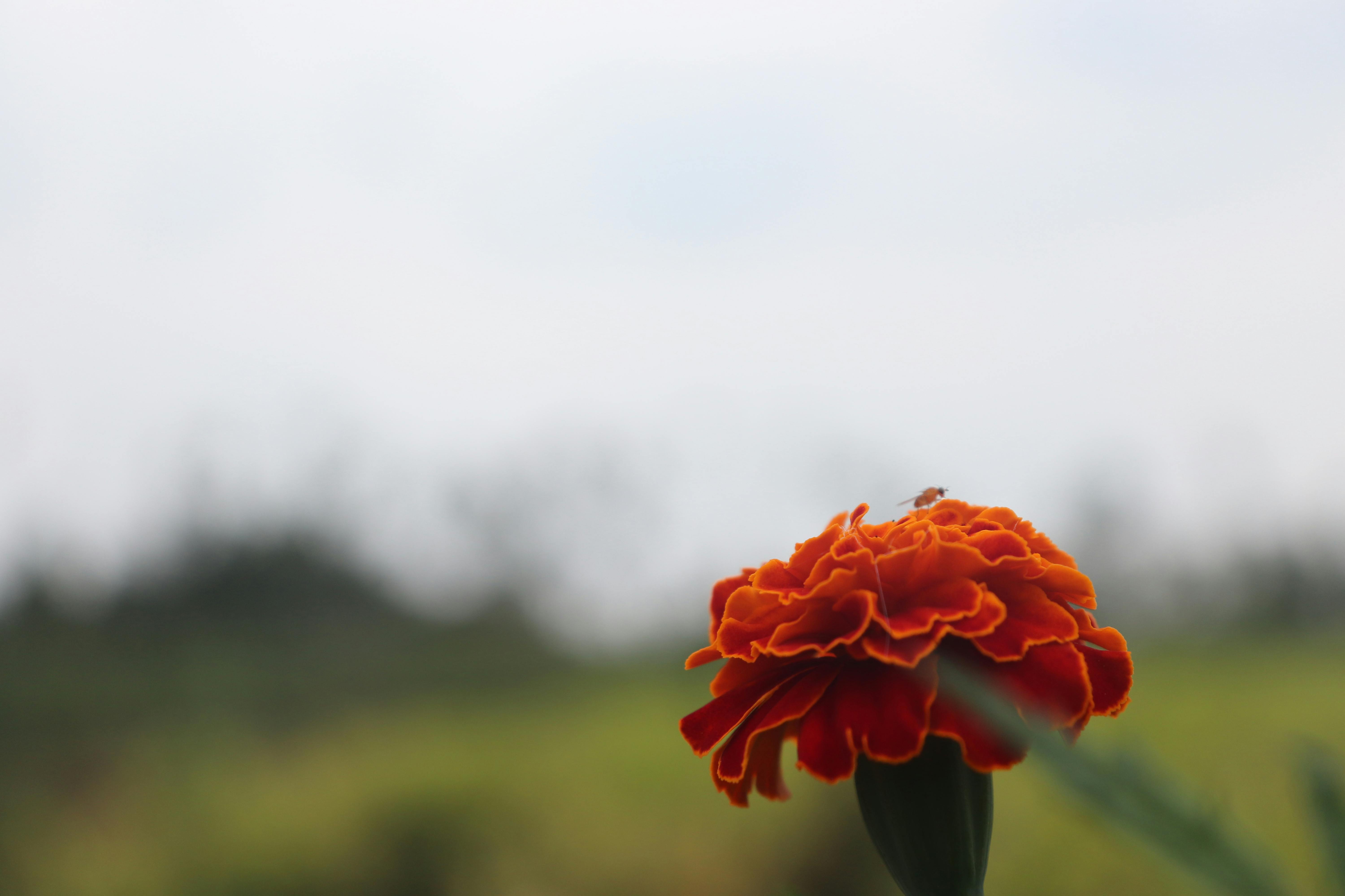 DHARANISH SAKTHIVEL - Fotografía