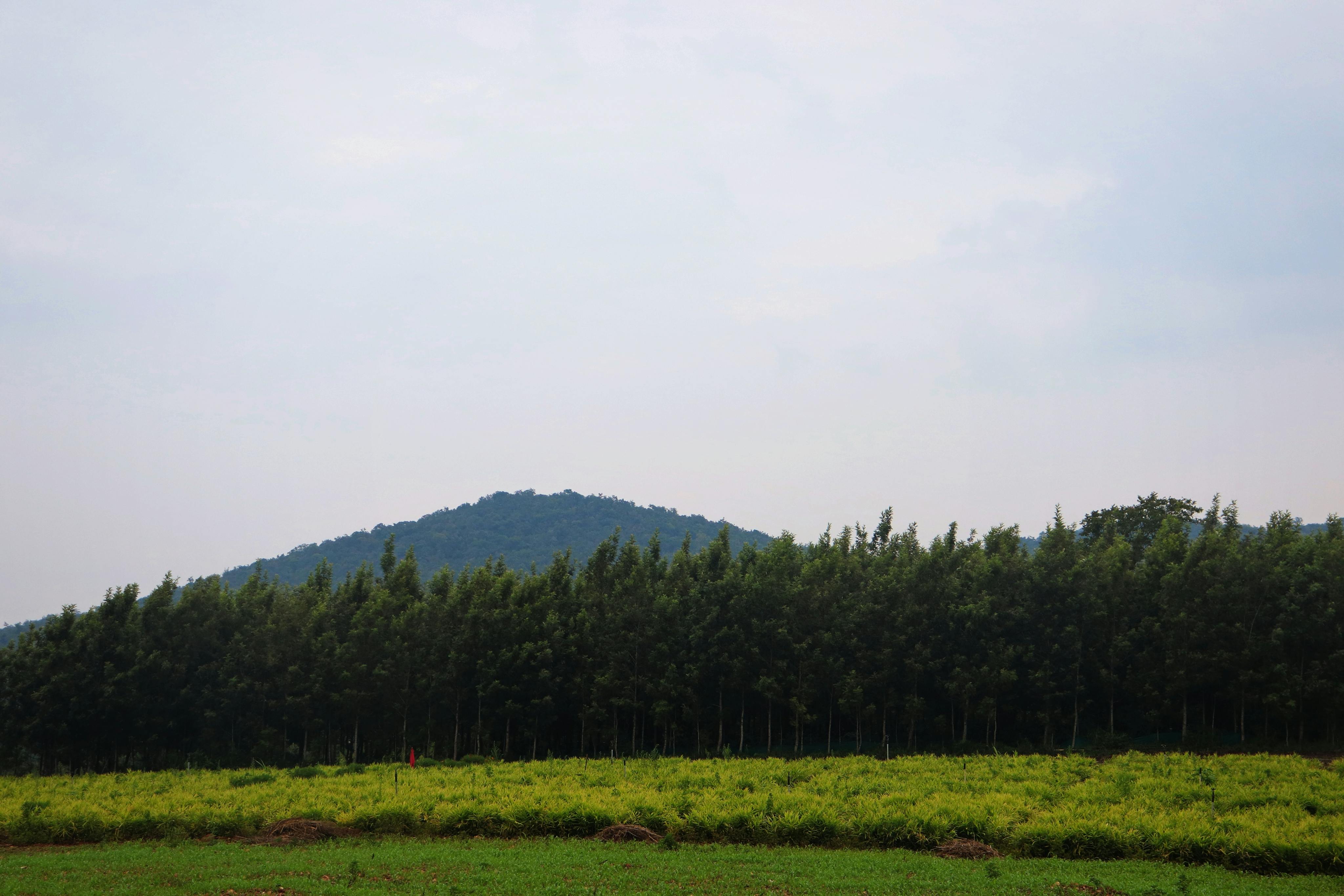 DHARANISH SAKTHIVEL - Fotografía