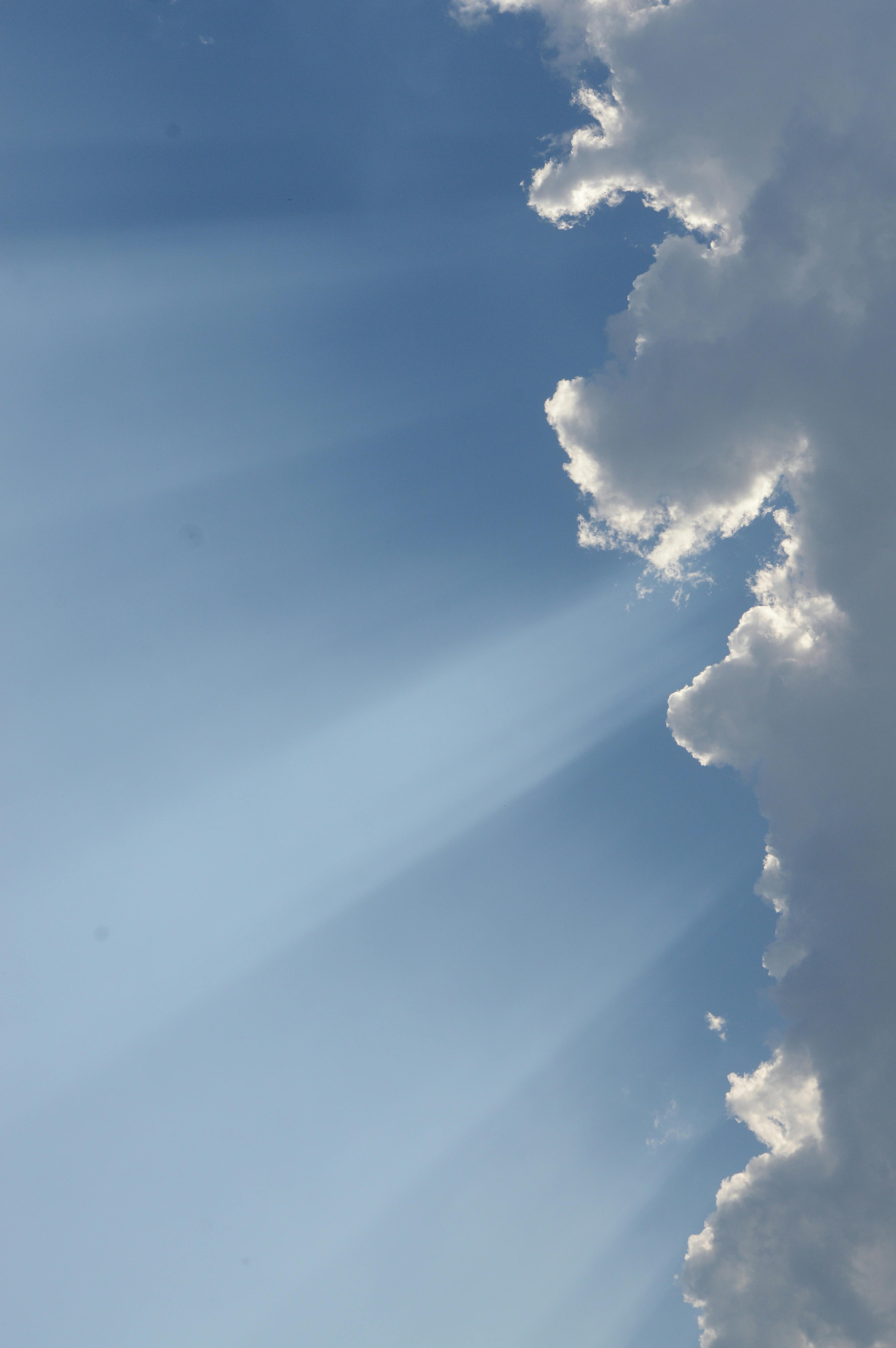 Foto de stock gratuita sobre cielo, foto de ángulo bajo, luz del sol ...