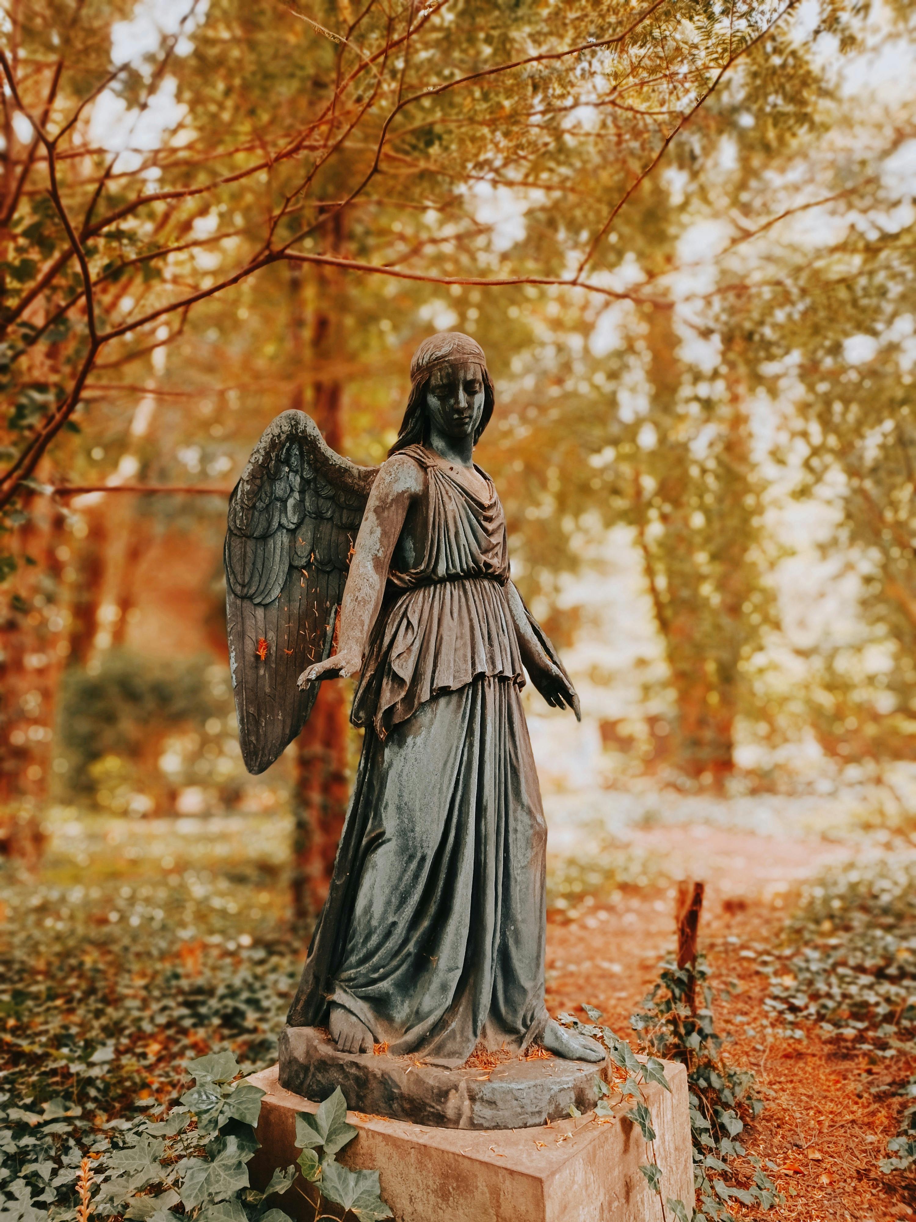Statue of an Angel Near Autumn Trees · Free Stock Photo