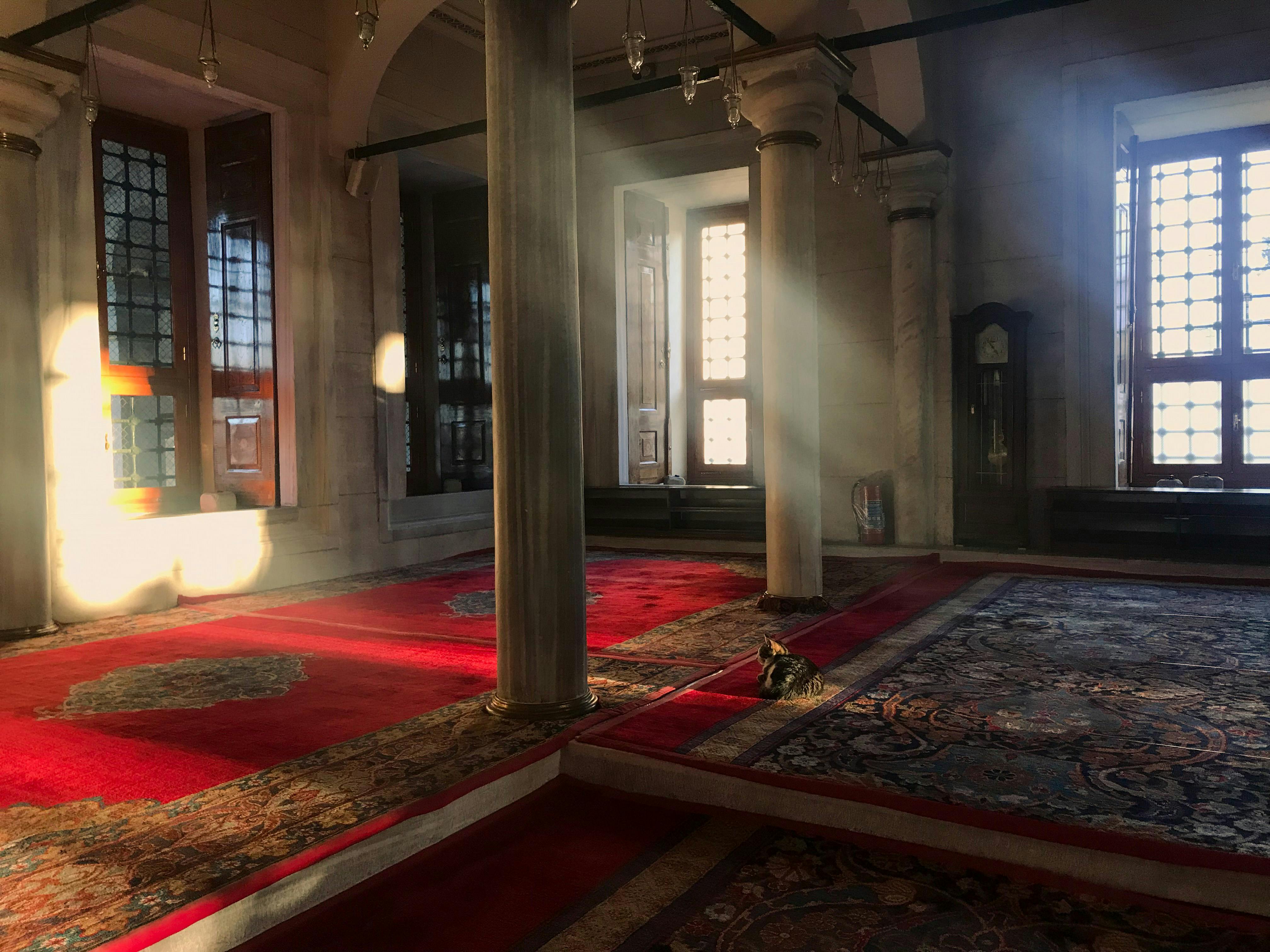 Dakka in Mosque · Free Stock Photo