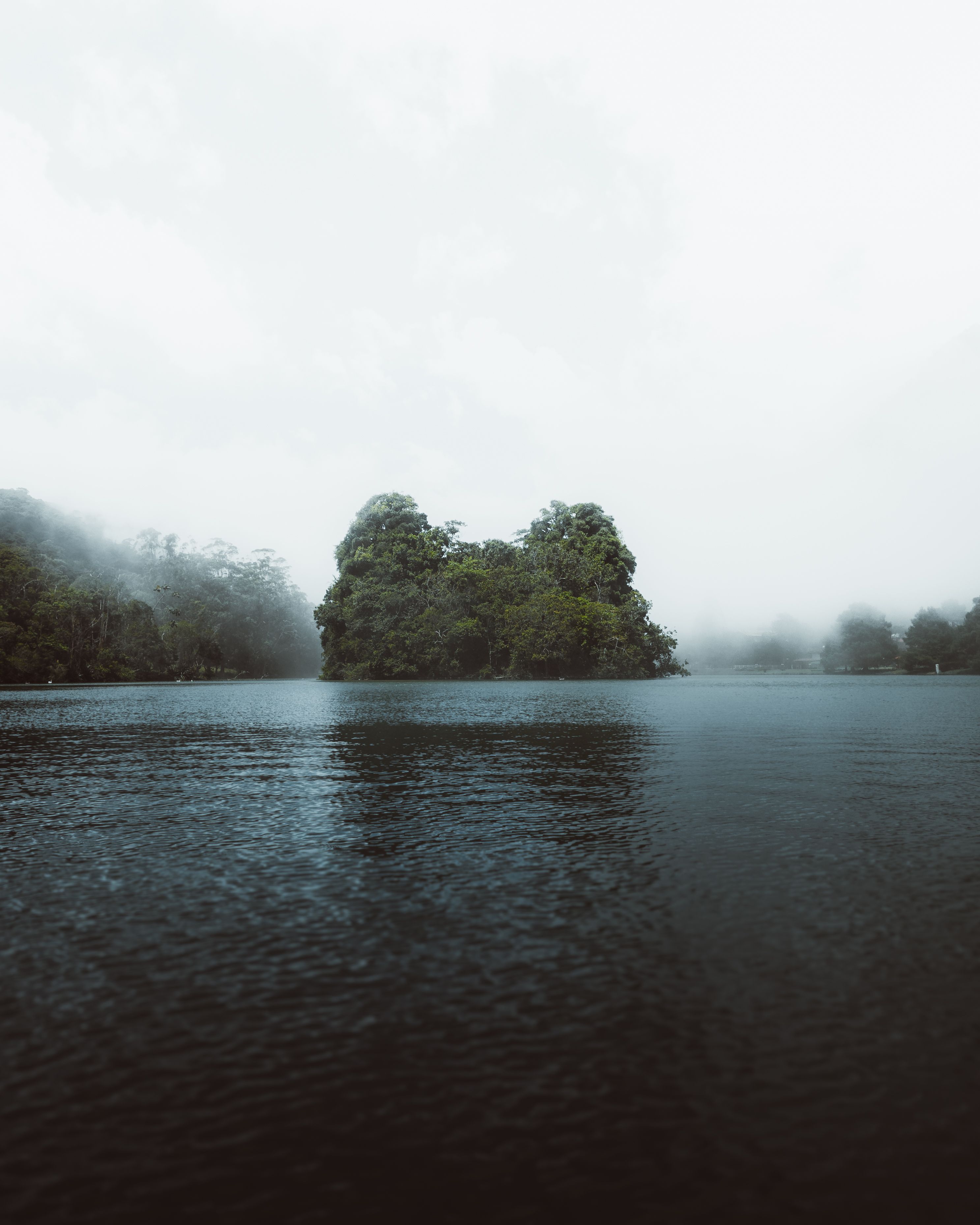Two Waterfalls in Jungle · Free Stock Photo