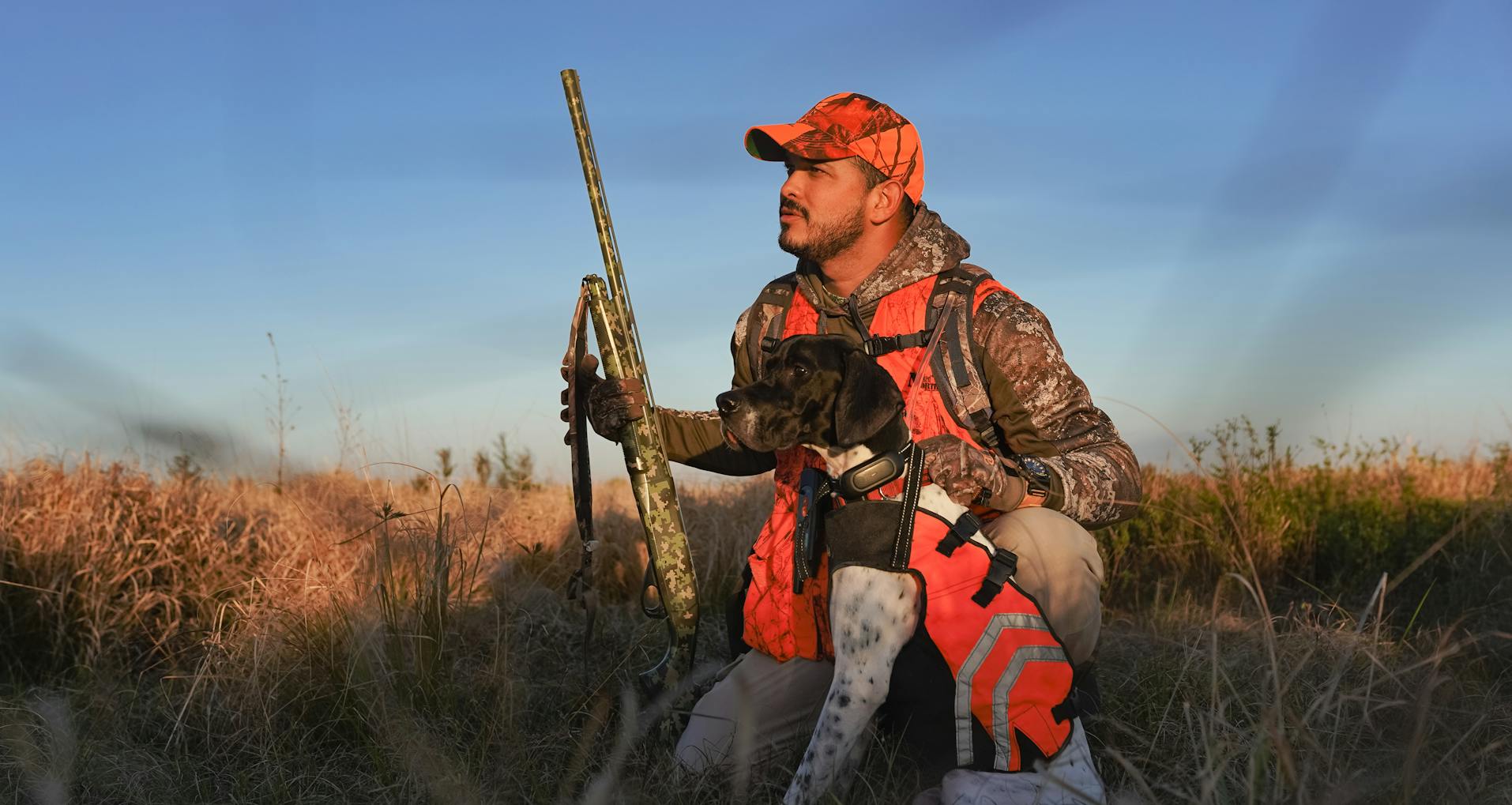 Discovering the Teckel: Origins, Traits, and Care for Owners