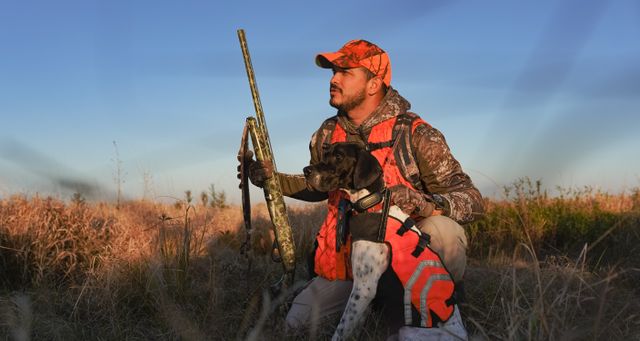 Fox Hunting Hounds: An Overview of the Traditional Sport