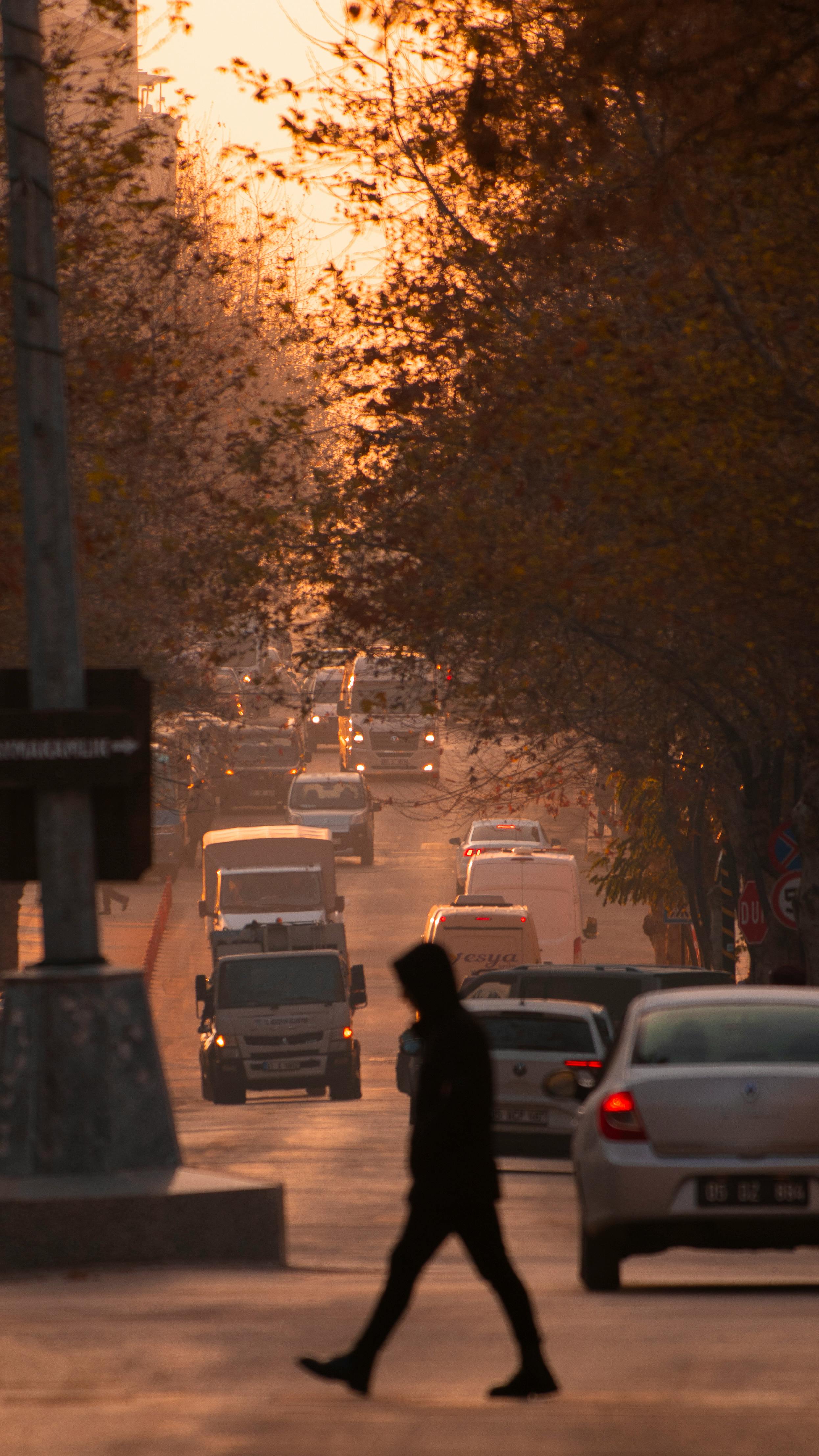 Cars on Roadway During Golden Hour · Free Stock Photo