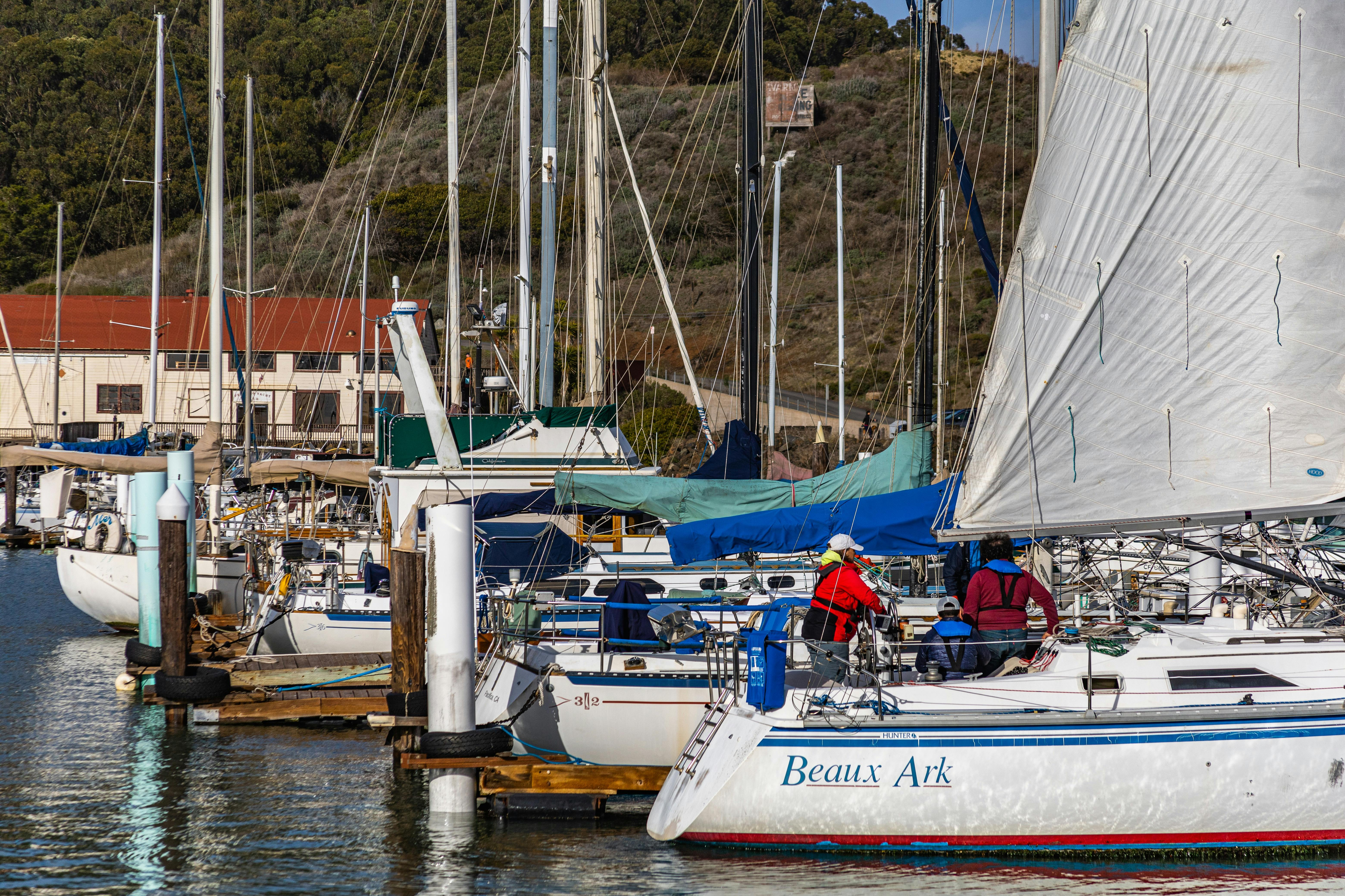 Boats in a Harbor · Free Stock Photo