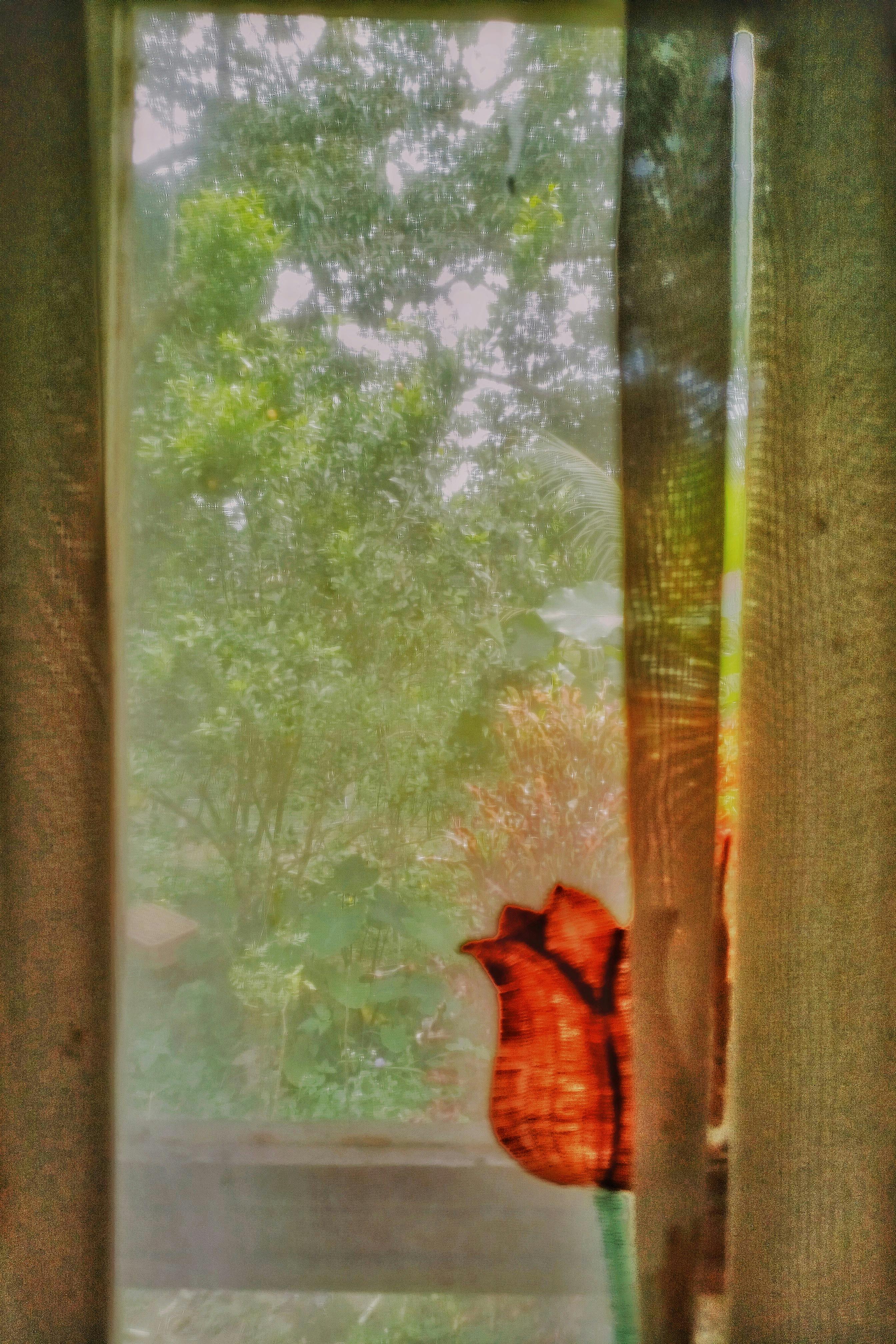 Windows 1 Photos & Videos Collected by Jeff Je