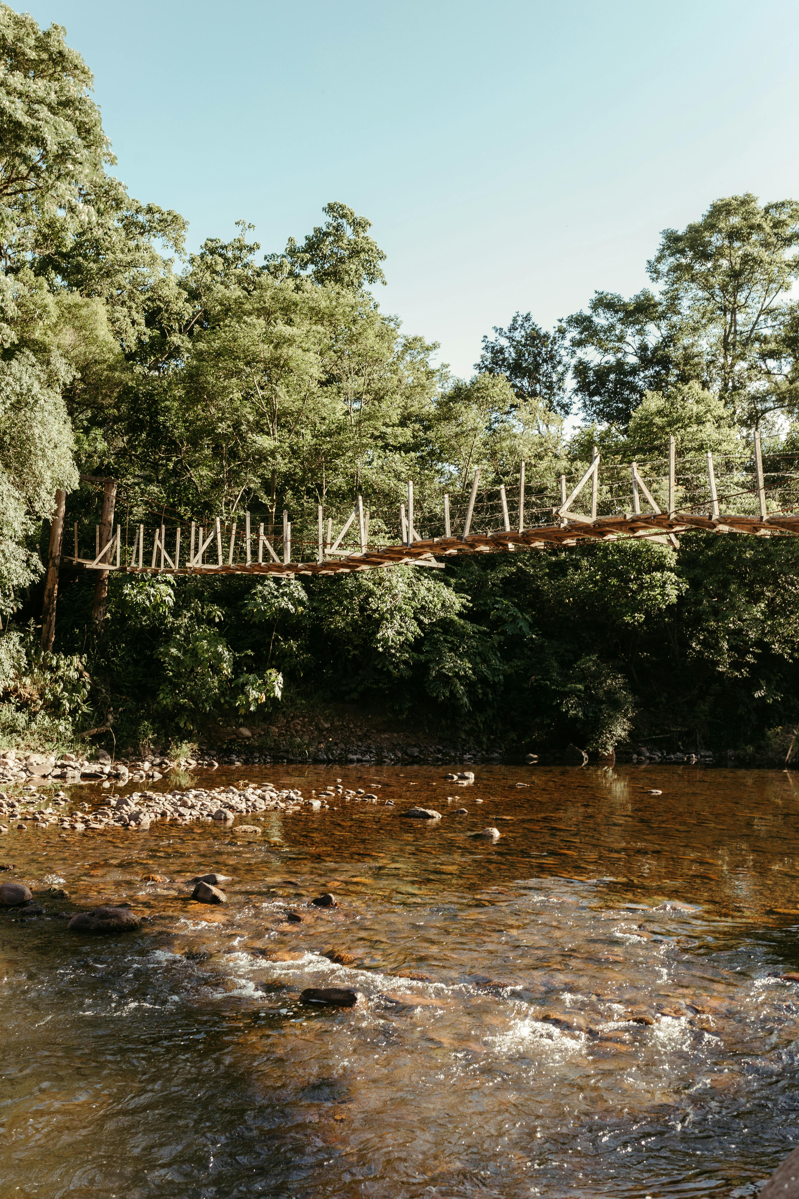 Photo of a Rope Bridge Over the River · Free Stock Photo