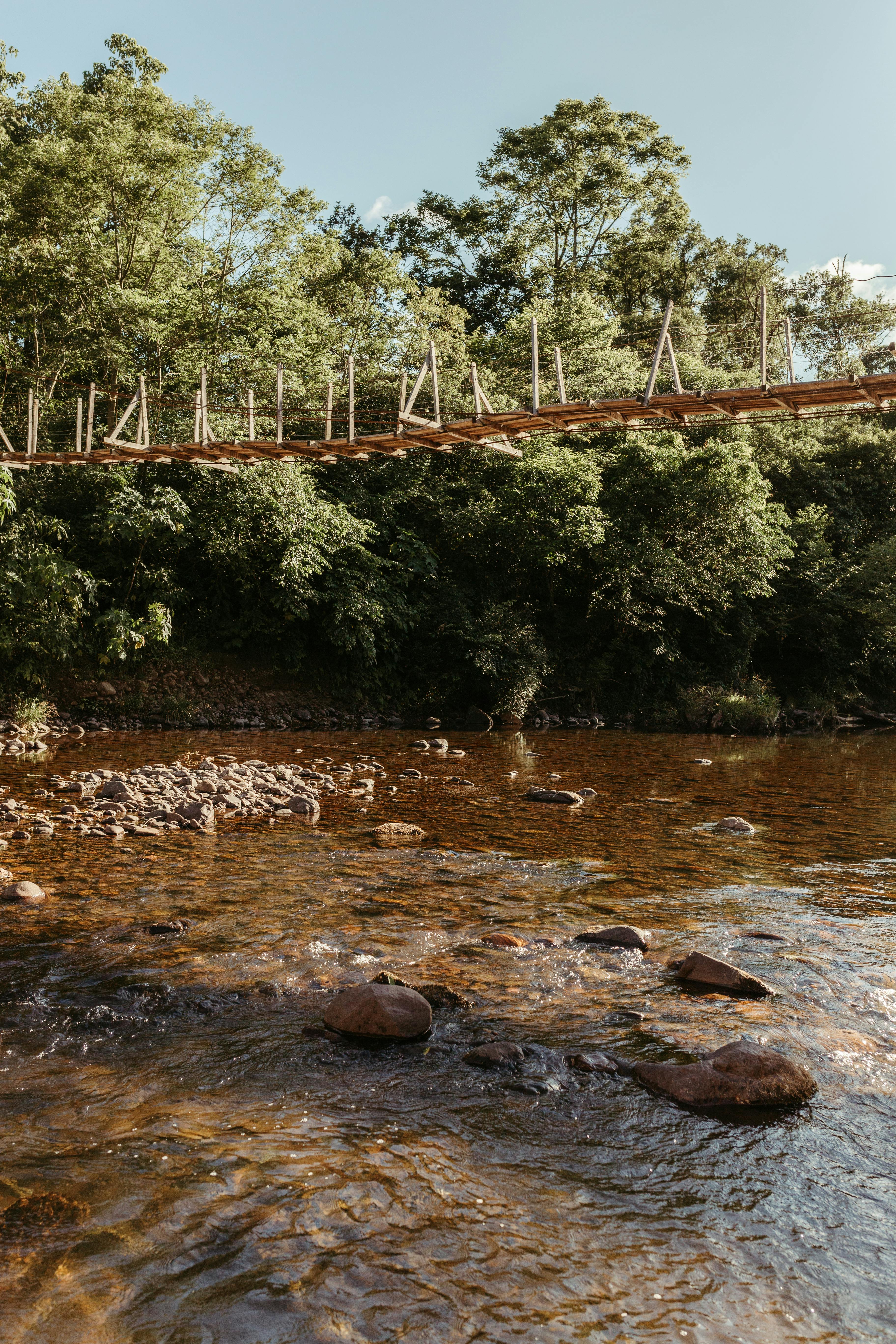 Hanging Bridge over River · Free Stock Photo