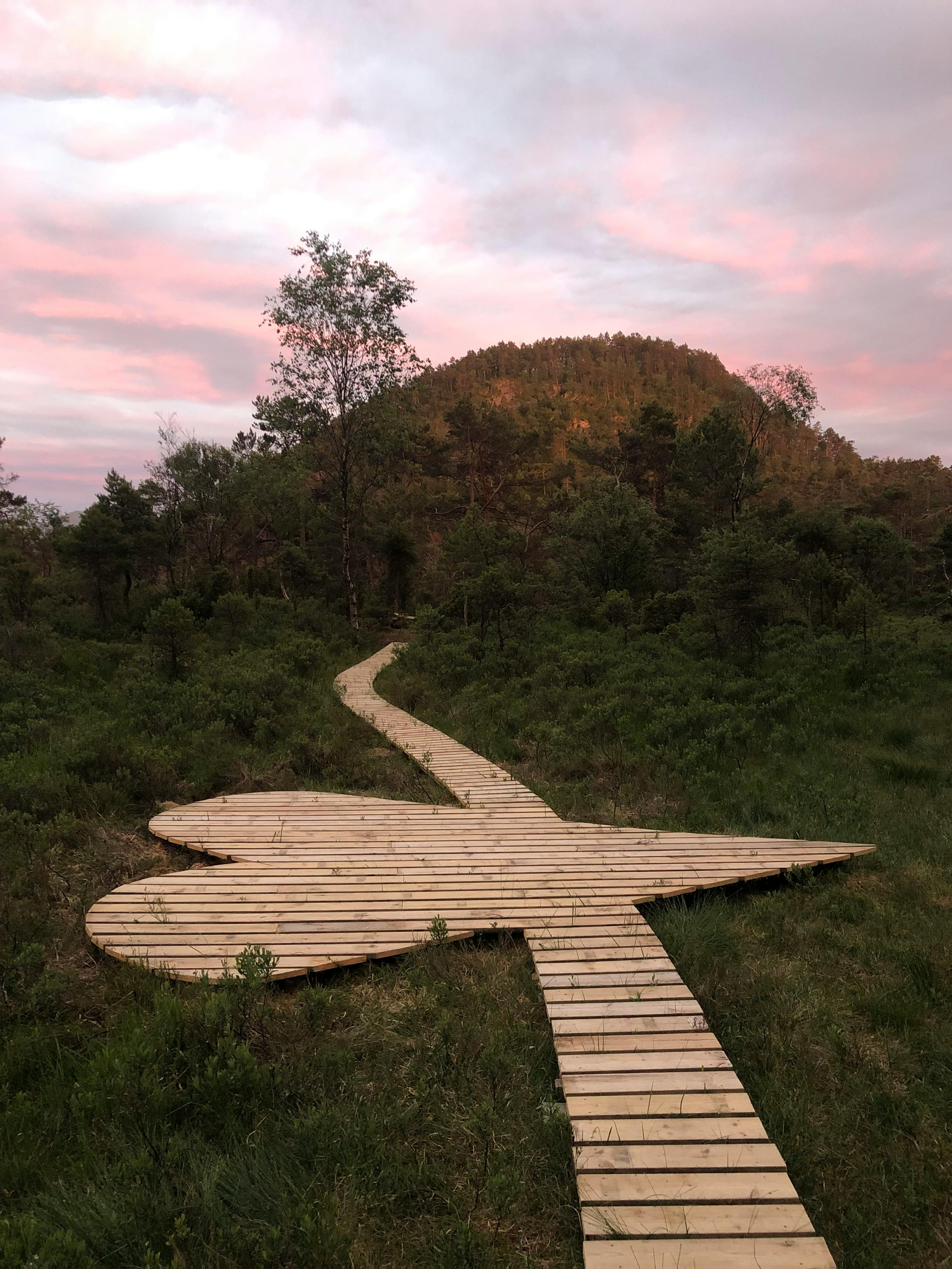 Wetland Boardwalk Photos, Download The BEST Free Wetland Boardwalk ...