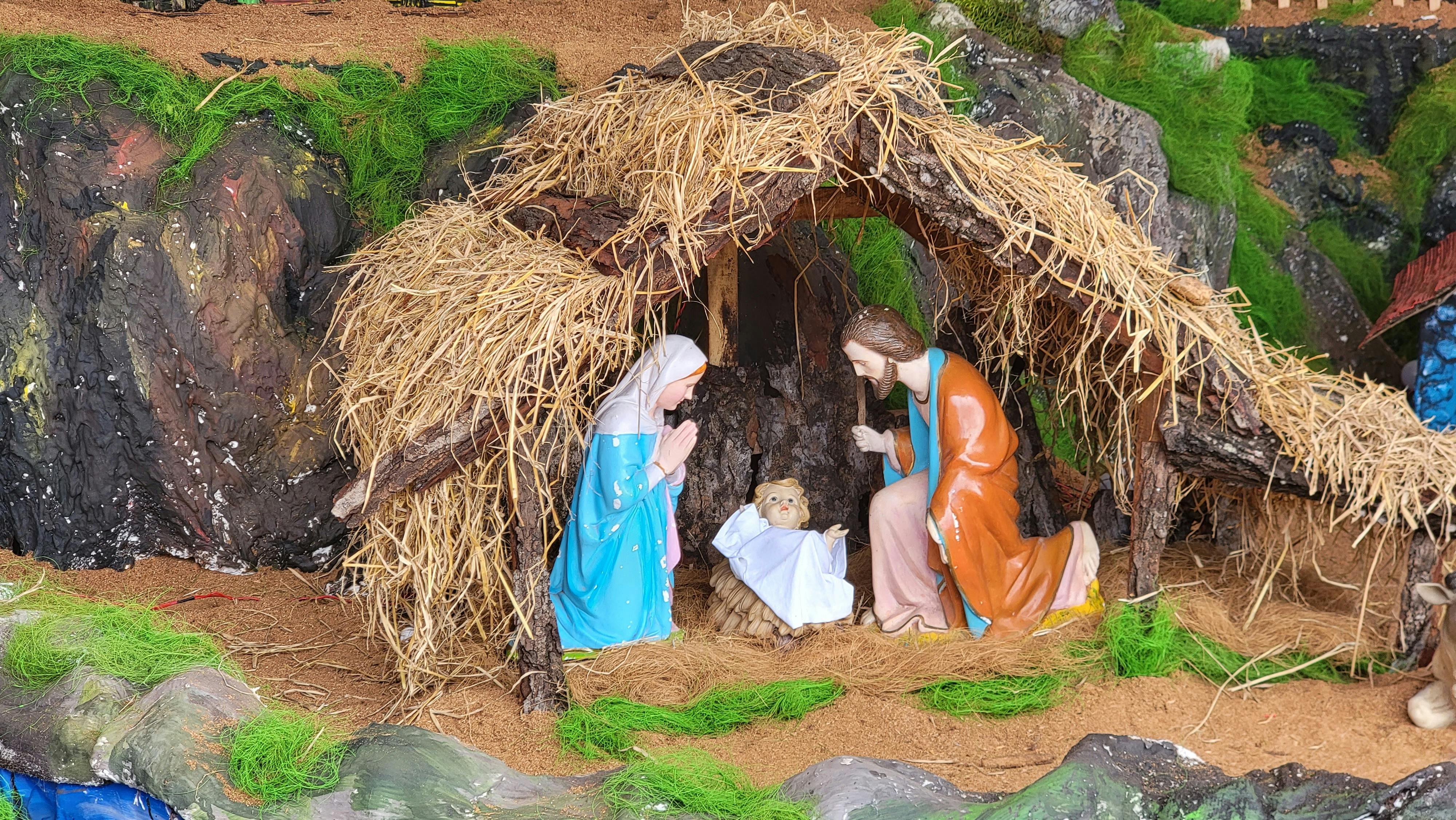 Tobin Philip Rabytfox - Photographie