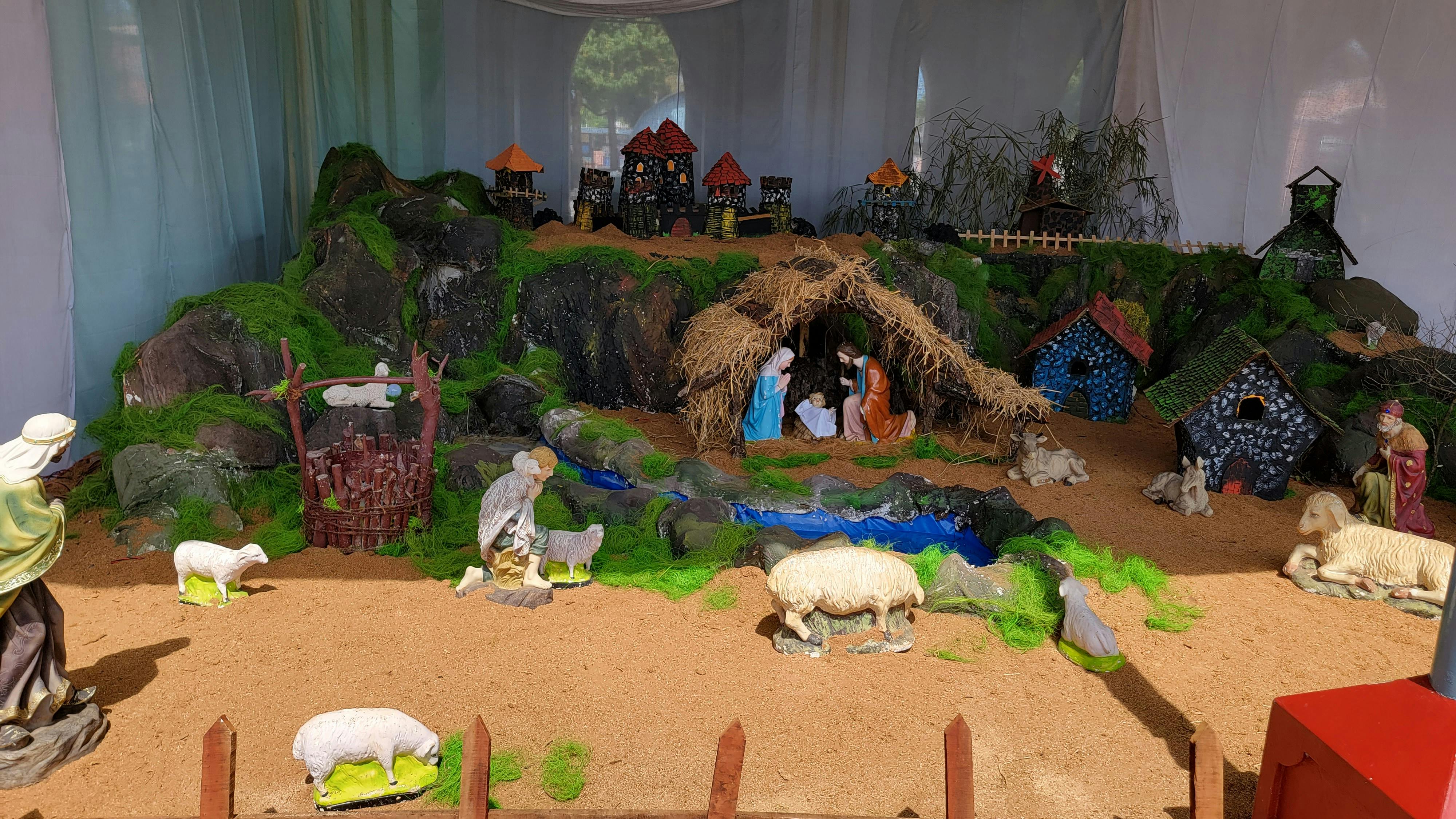 Tobin Philip Rabytfox - Photographie