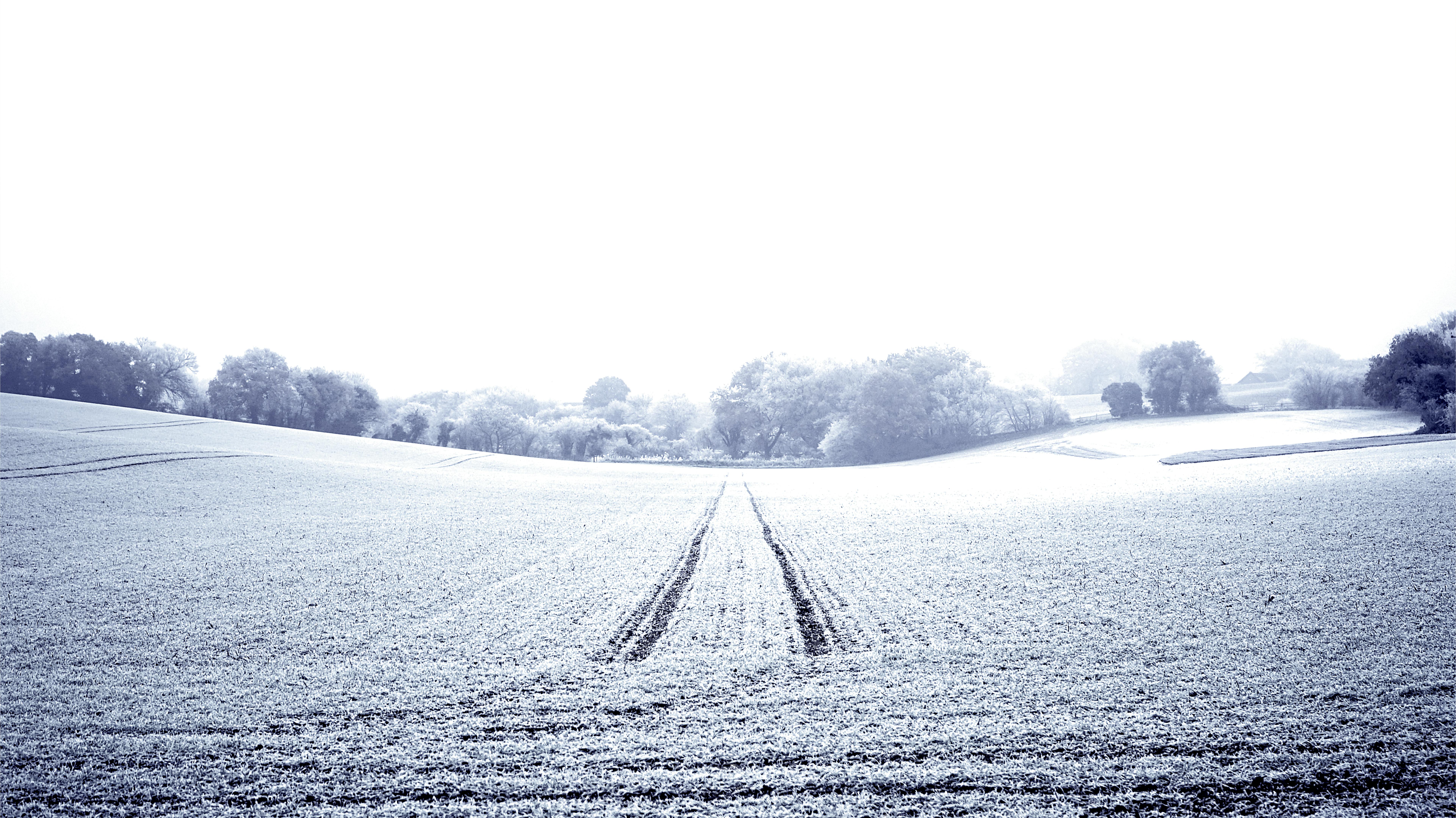A Field during Winter · Free Stock Photo