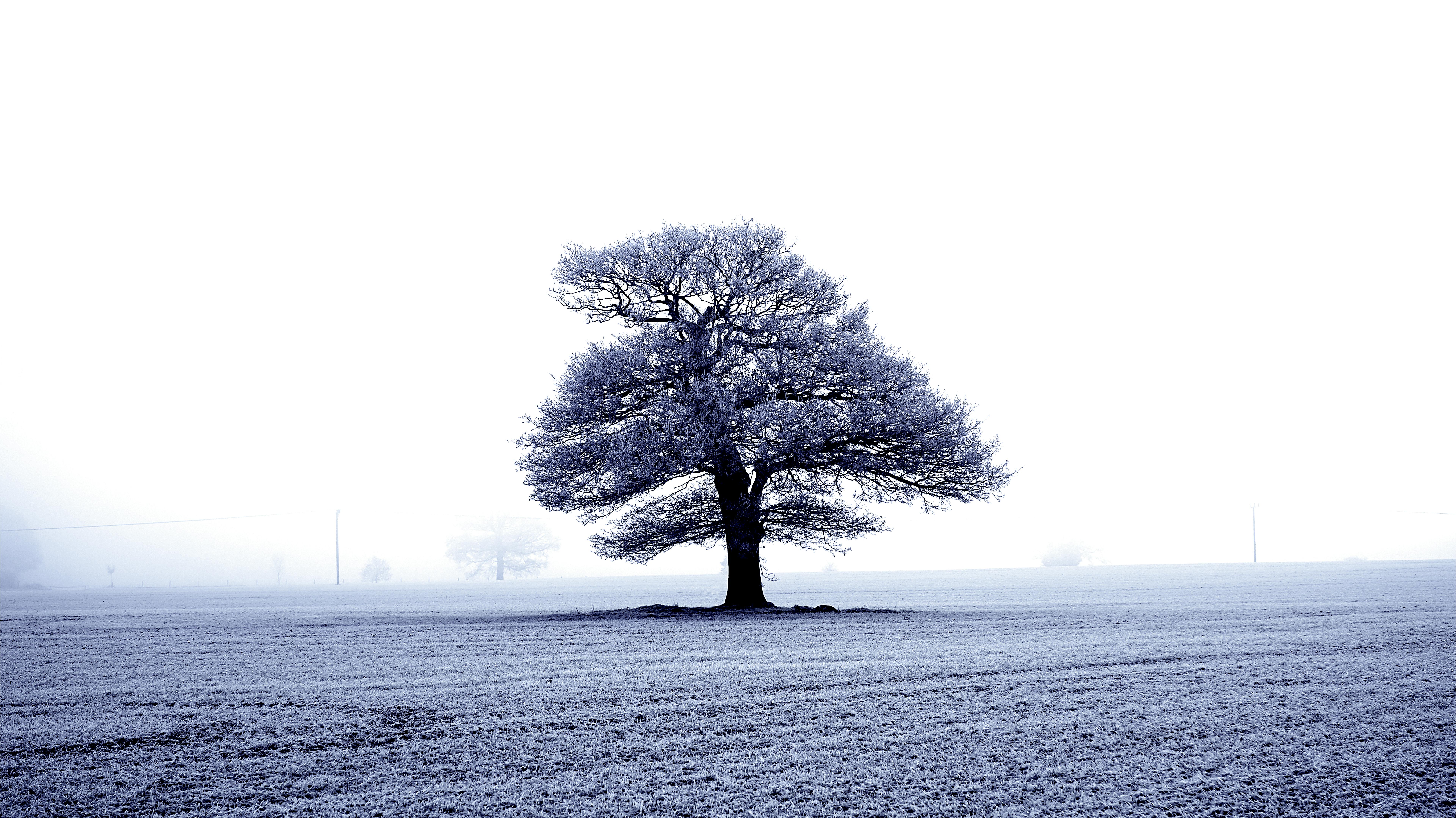 Snow Field Background Photos, Download The BEST Free Snow Field ...