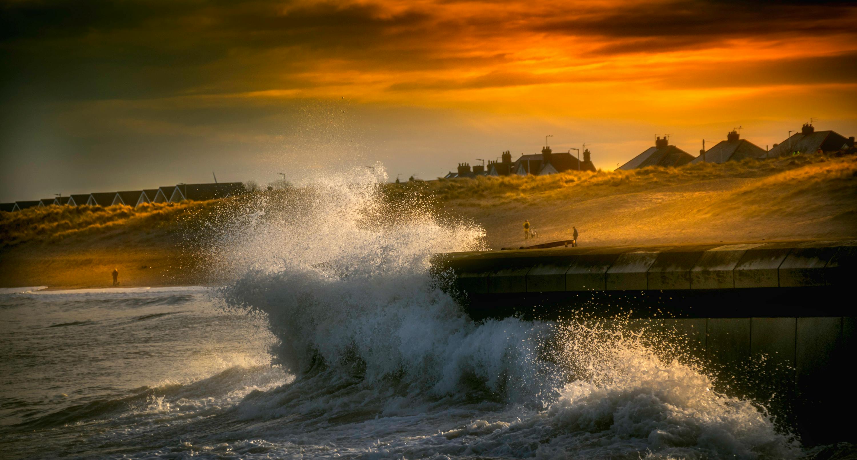 Water Wave · Free Stock Photo
