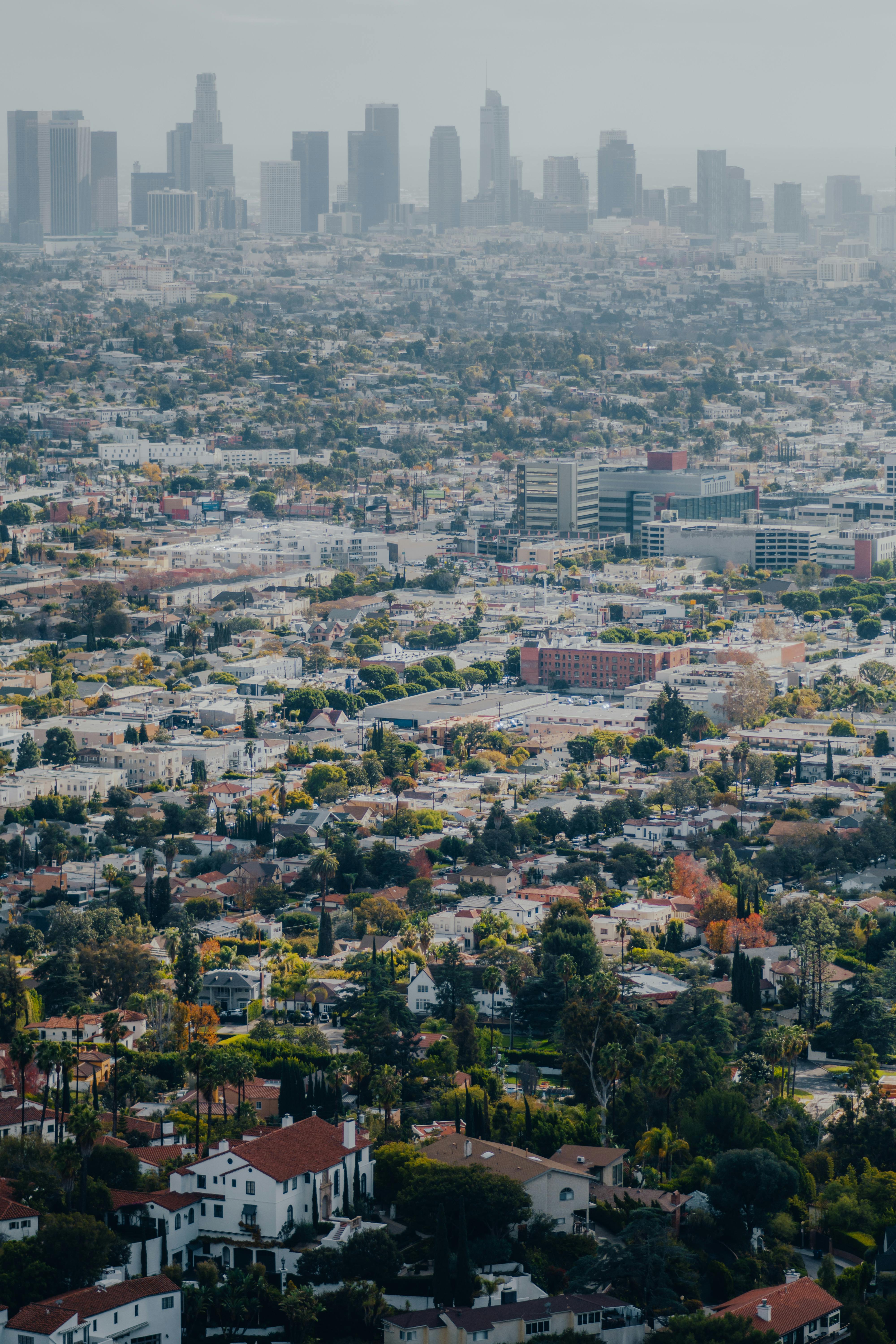 Dense Urban Architecture · Free Stock Photo