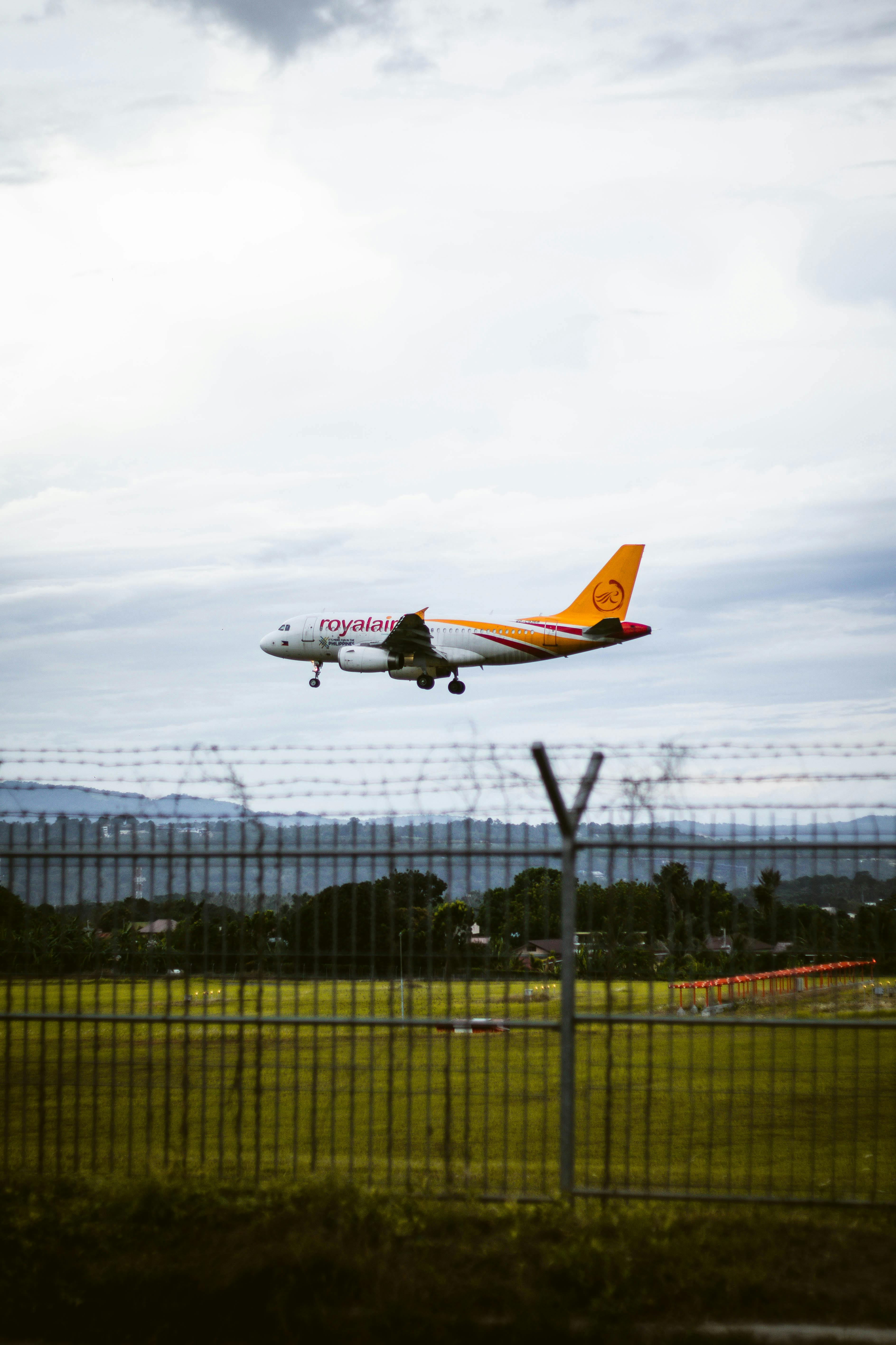 Sunbae Legacy - Fotografía