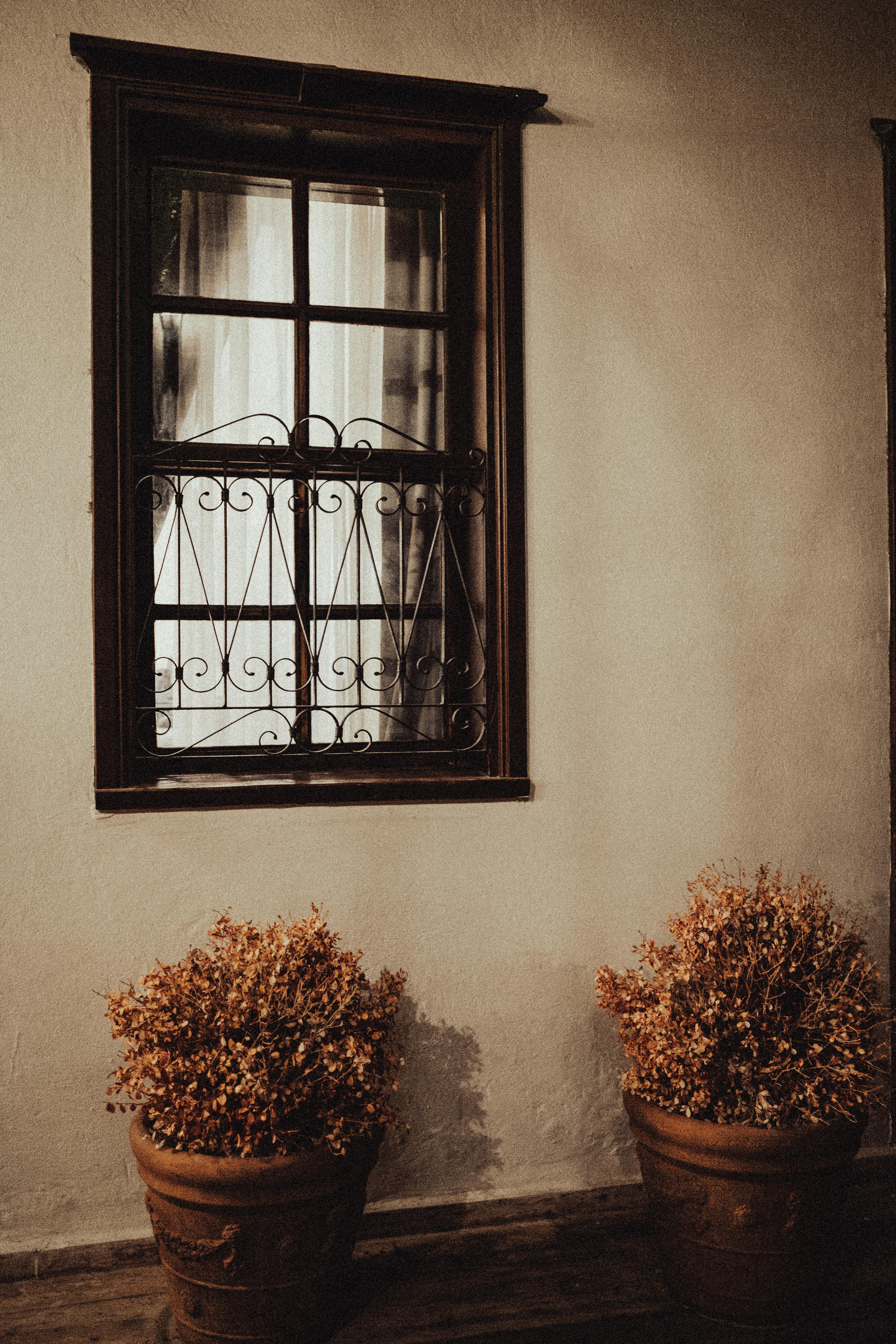 Rustic Window with Metalwork · Free Stock Photo