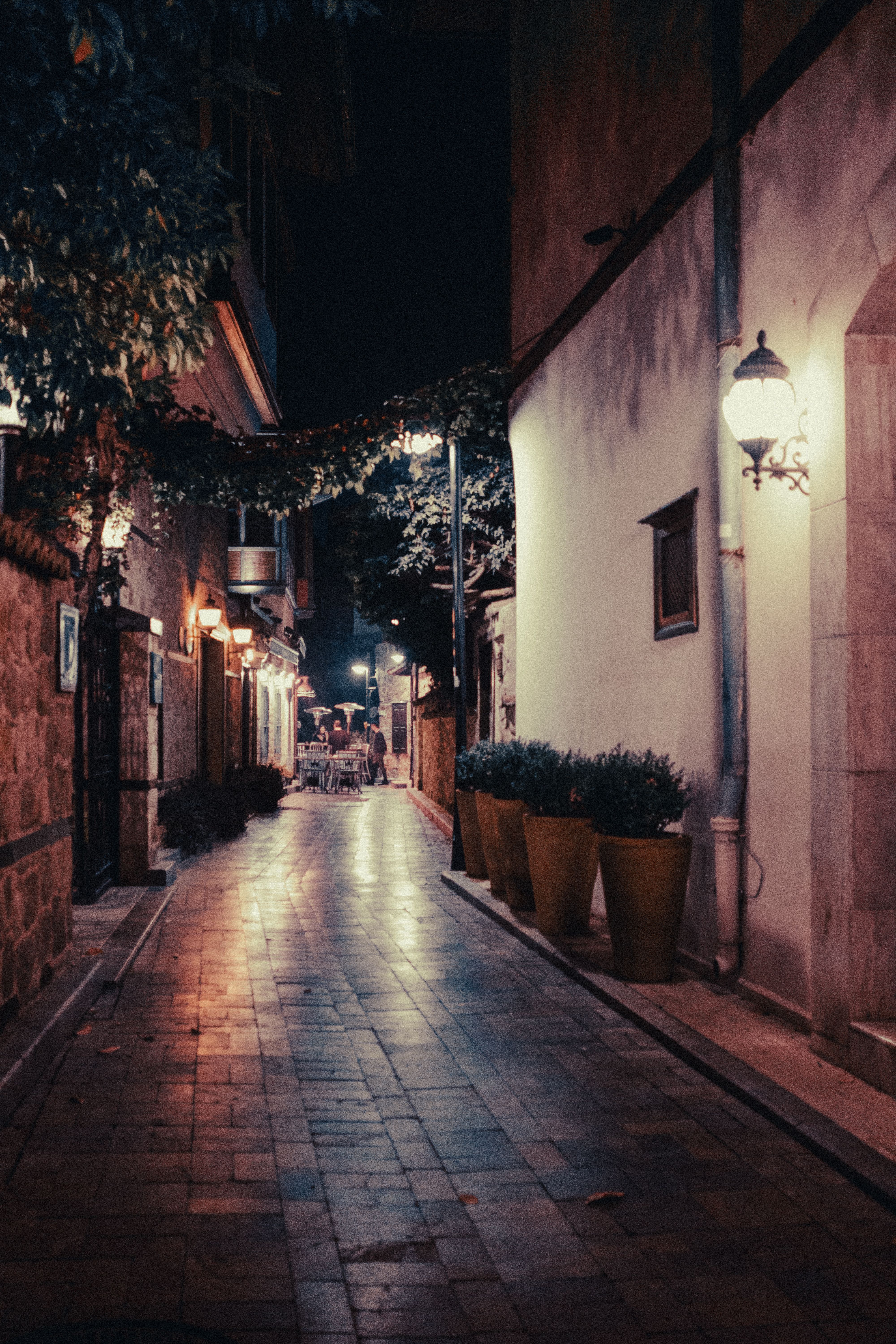 Quaint Street at Night · Free Stock Photo