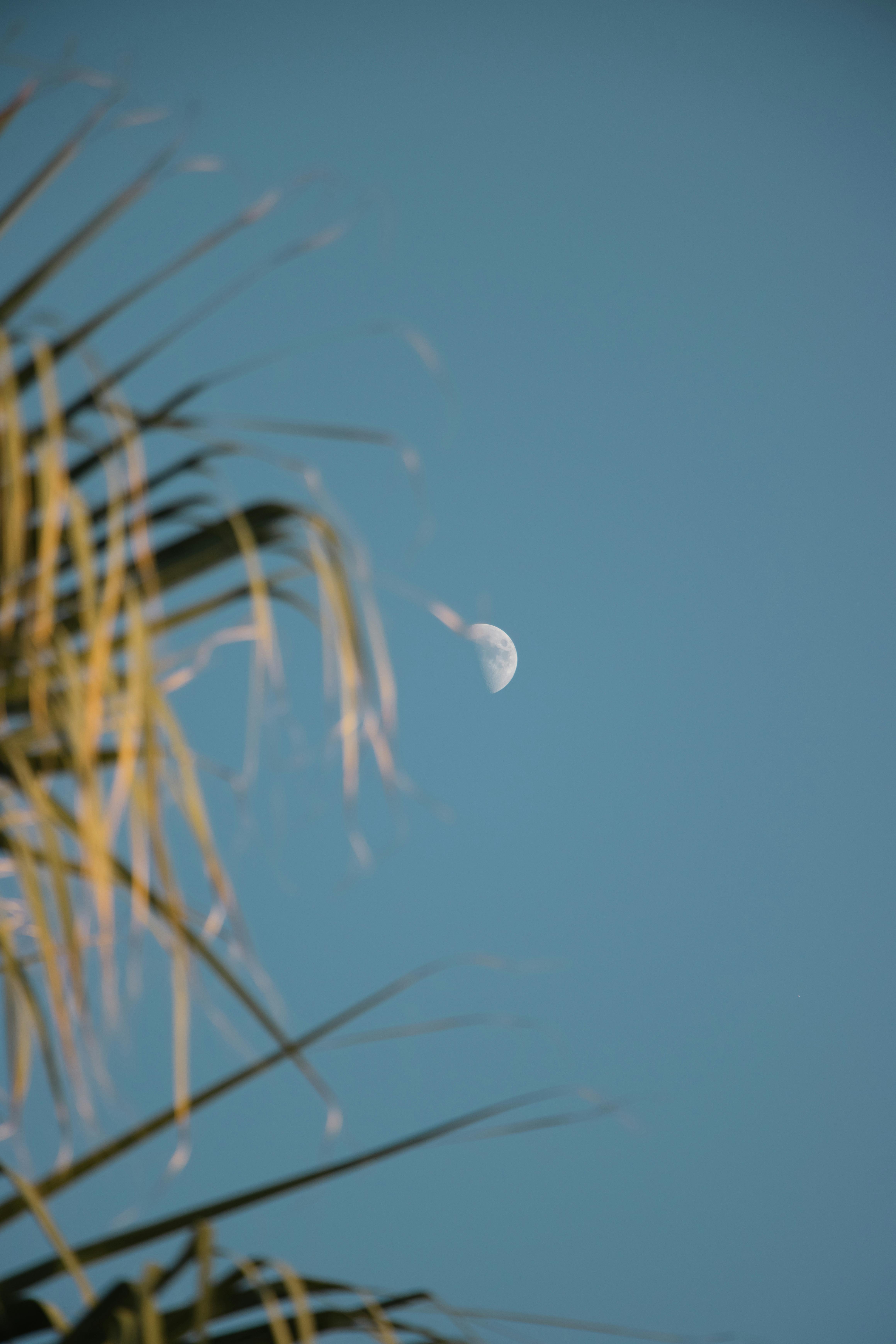 Moon Block Photos, Download The BEST Free Moon Block Stock Photos & HD ...