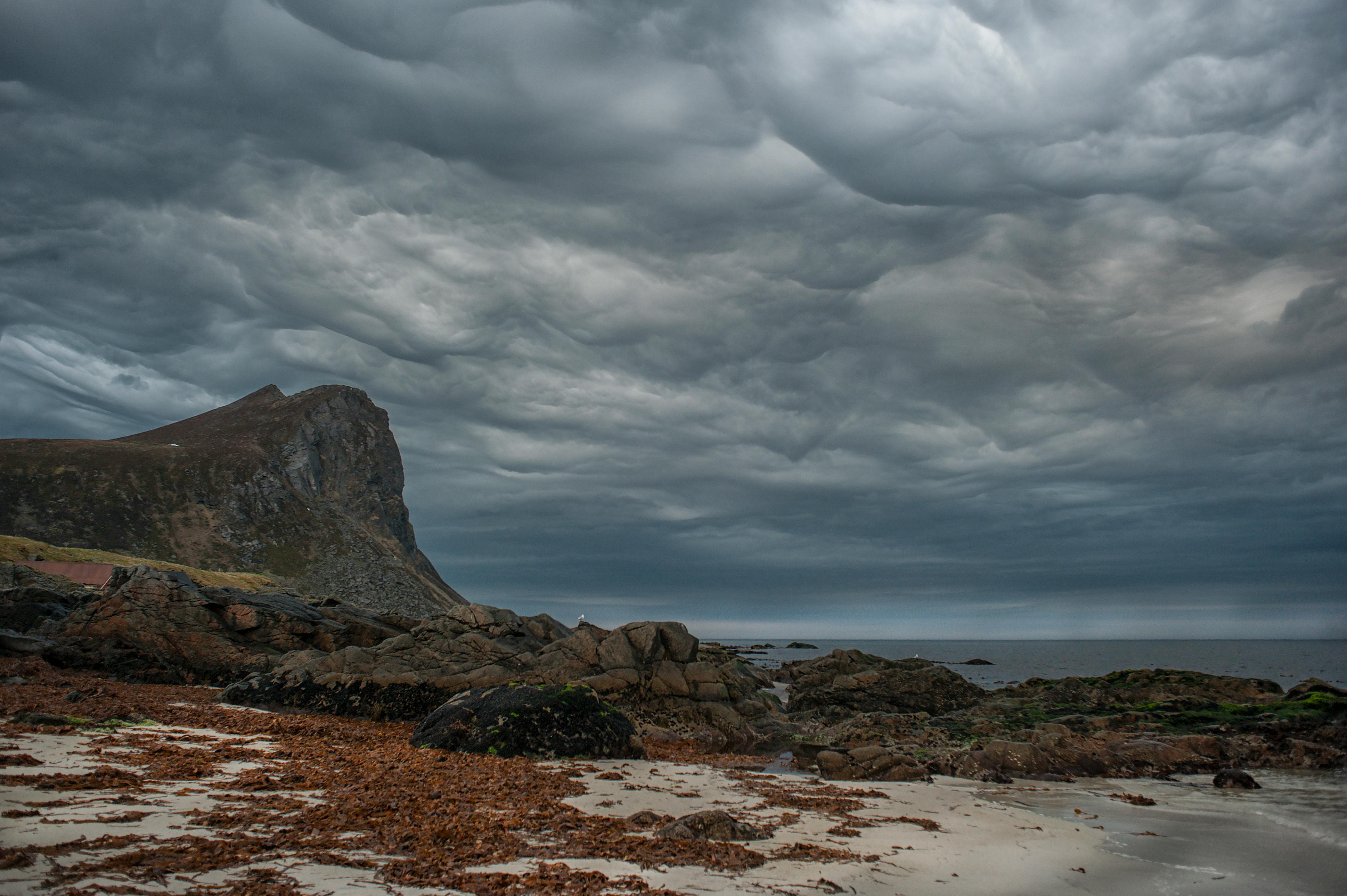 Water Scarcity Photos, Download The BEST Free Water Scarcity Stock ...