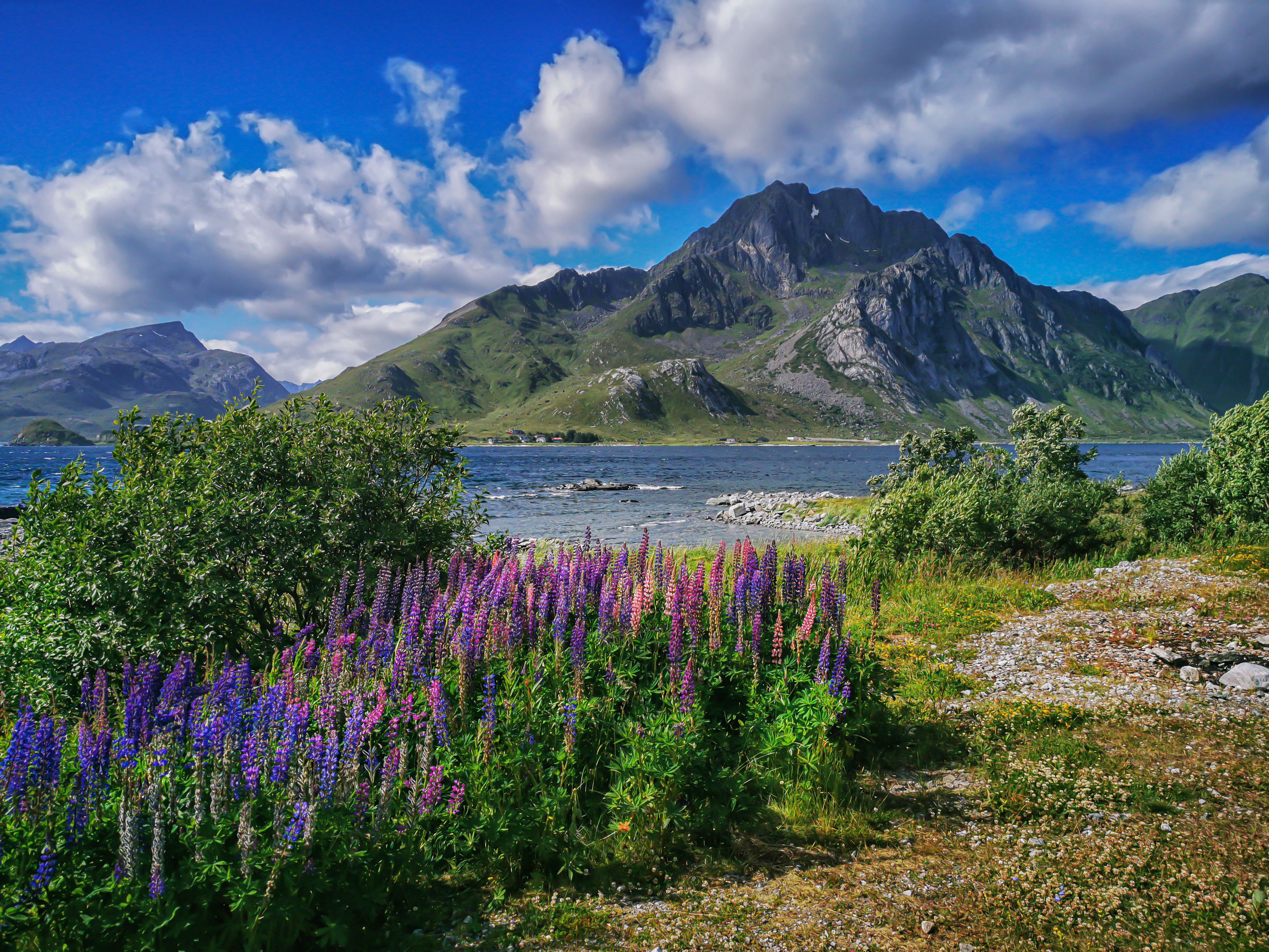 Destination Scandinavia Photos, Download The BEST Free Destination ...
