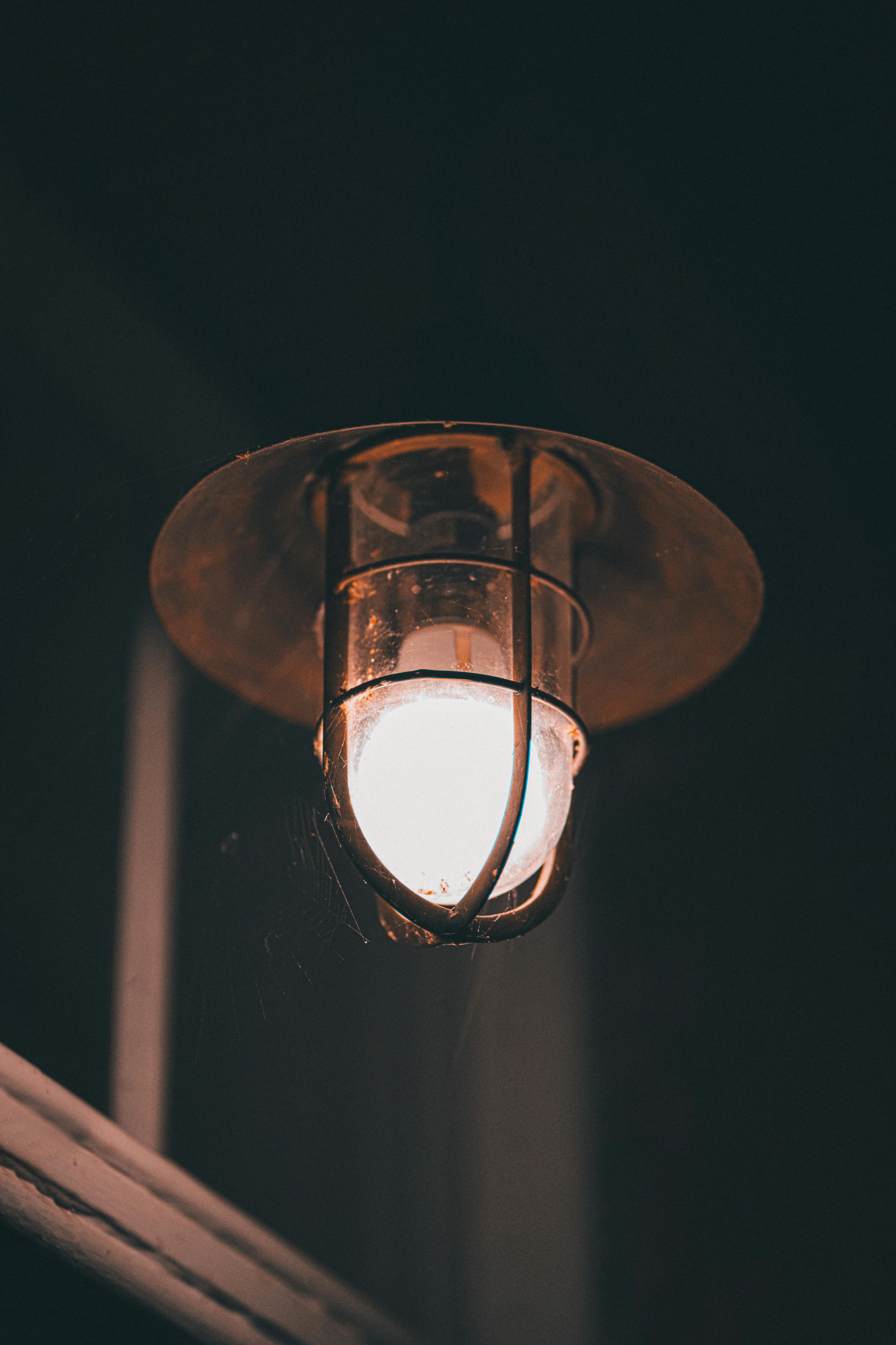 Unnvike Bulb Photos, Download The BEST Free Unnvike Bulb Stock Photos ...