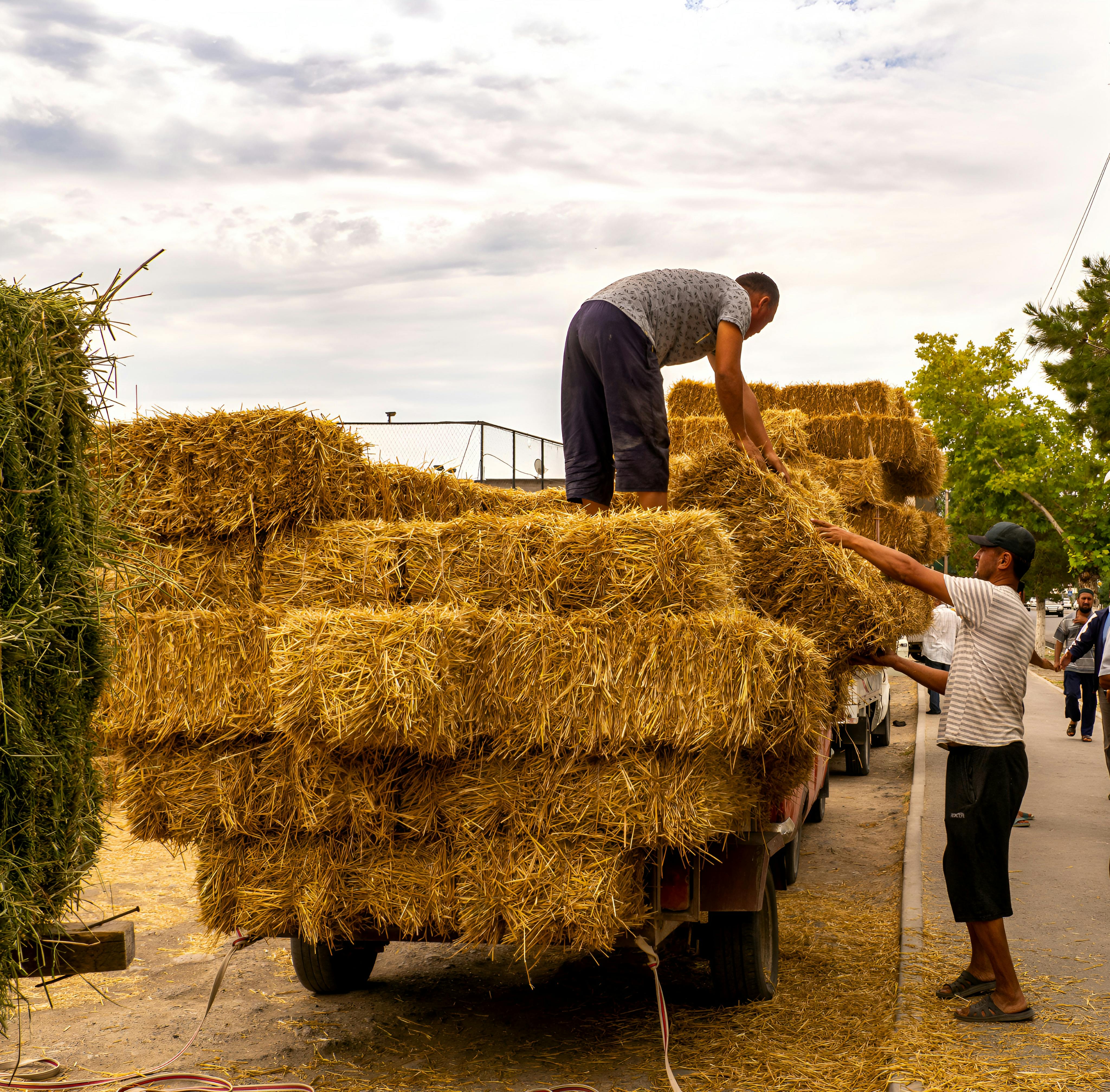 Man Loading Crates onto Delivery Truck · Free Stock Photo