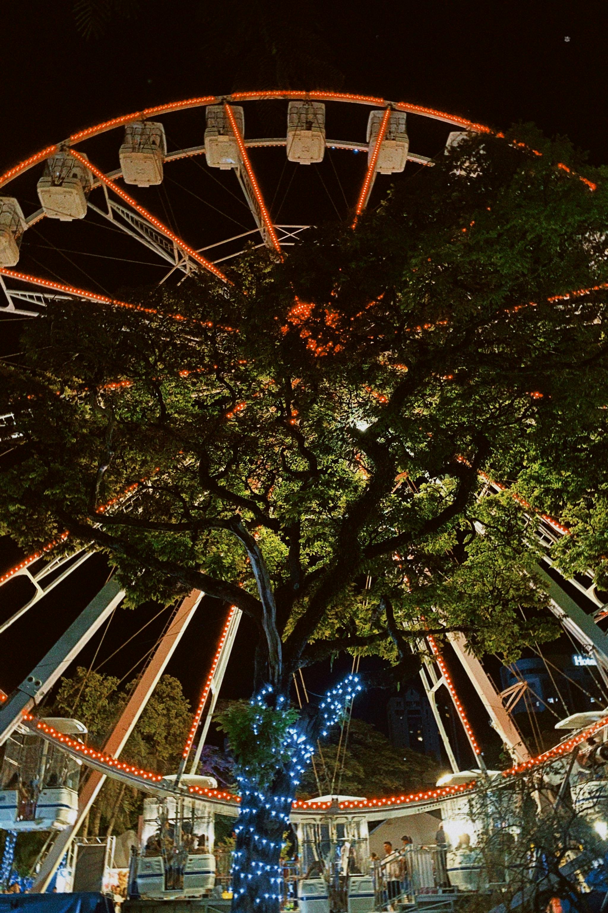 Ferris Wheels Photos, Download Free Ferris Wheels Stock Photos & HD Images