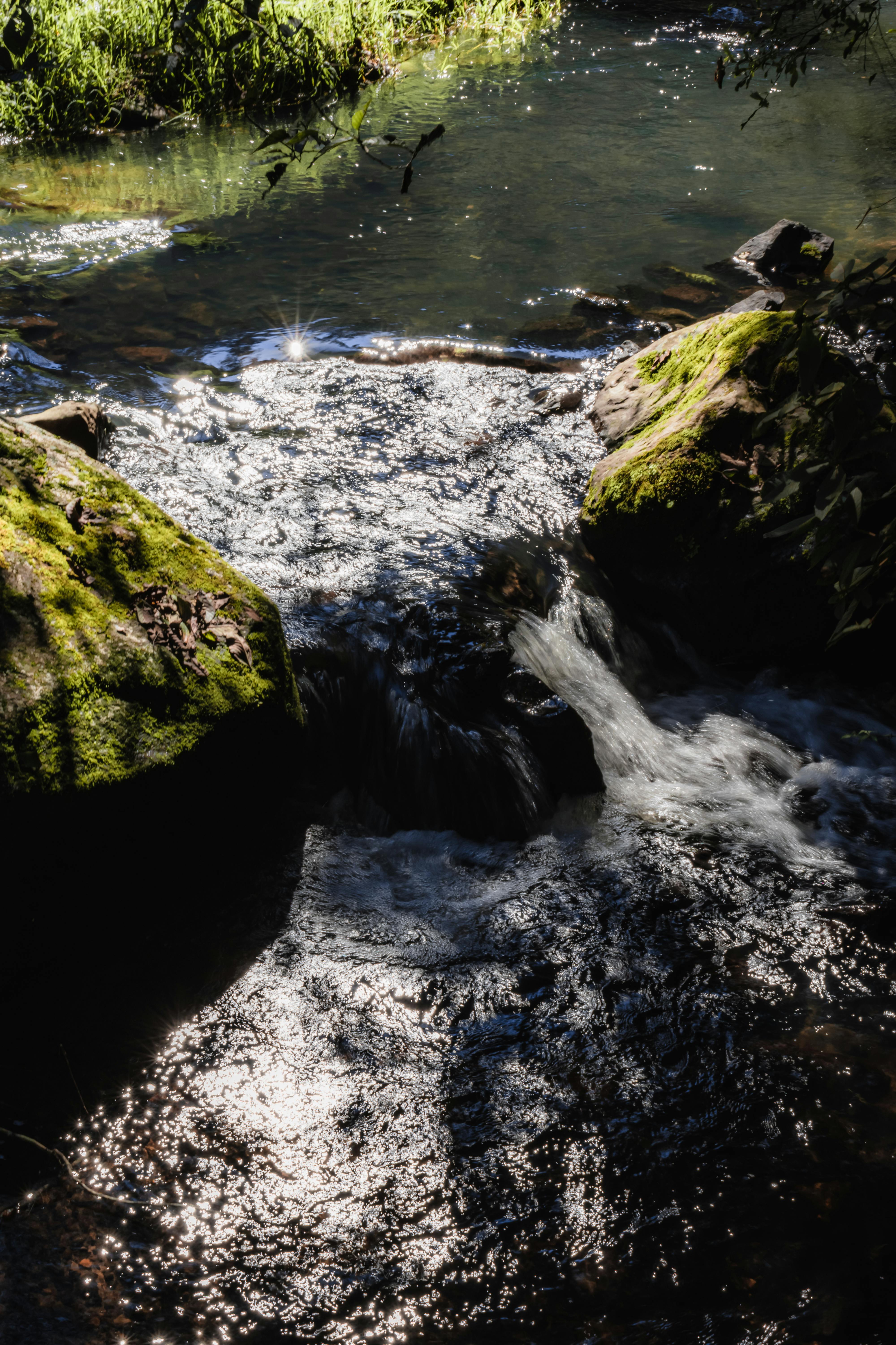 Creek Icon Photos, Download Free Creek Icon Stock Photos & HD Images