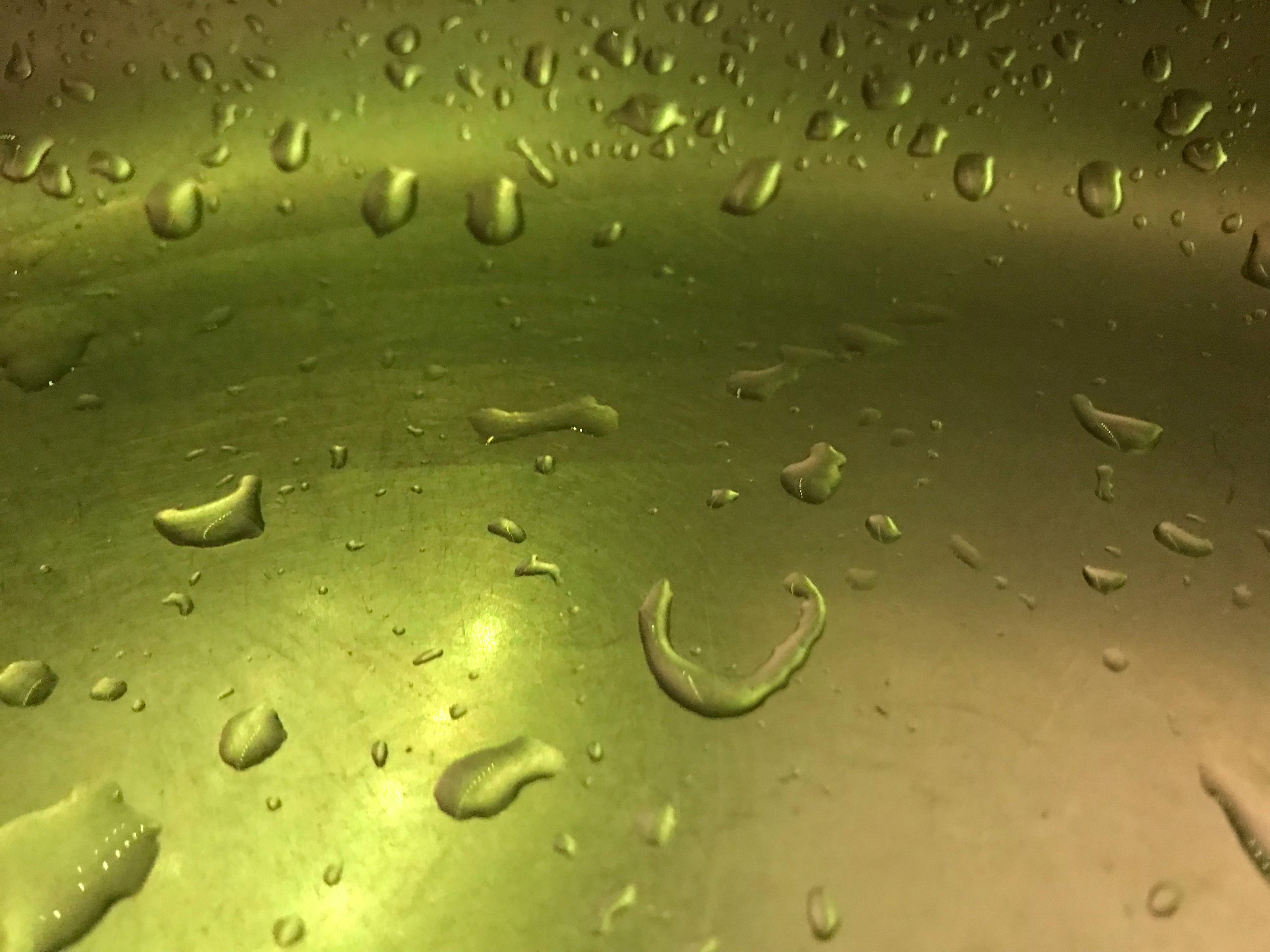 Jane Blaze - Photography