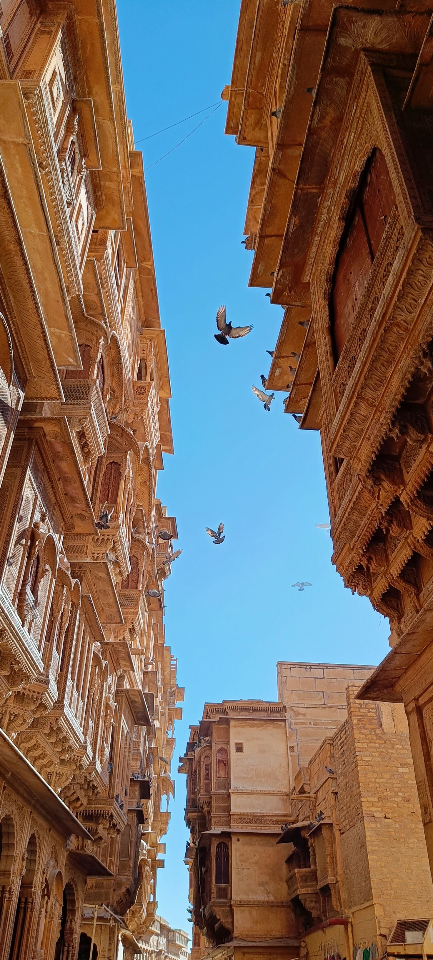 Rachel Fernandes - Photography