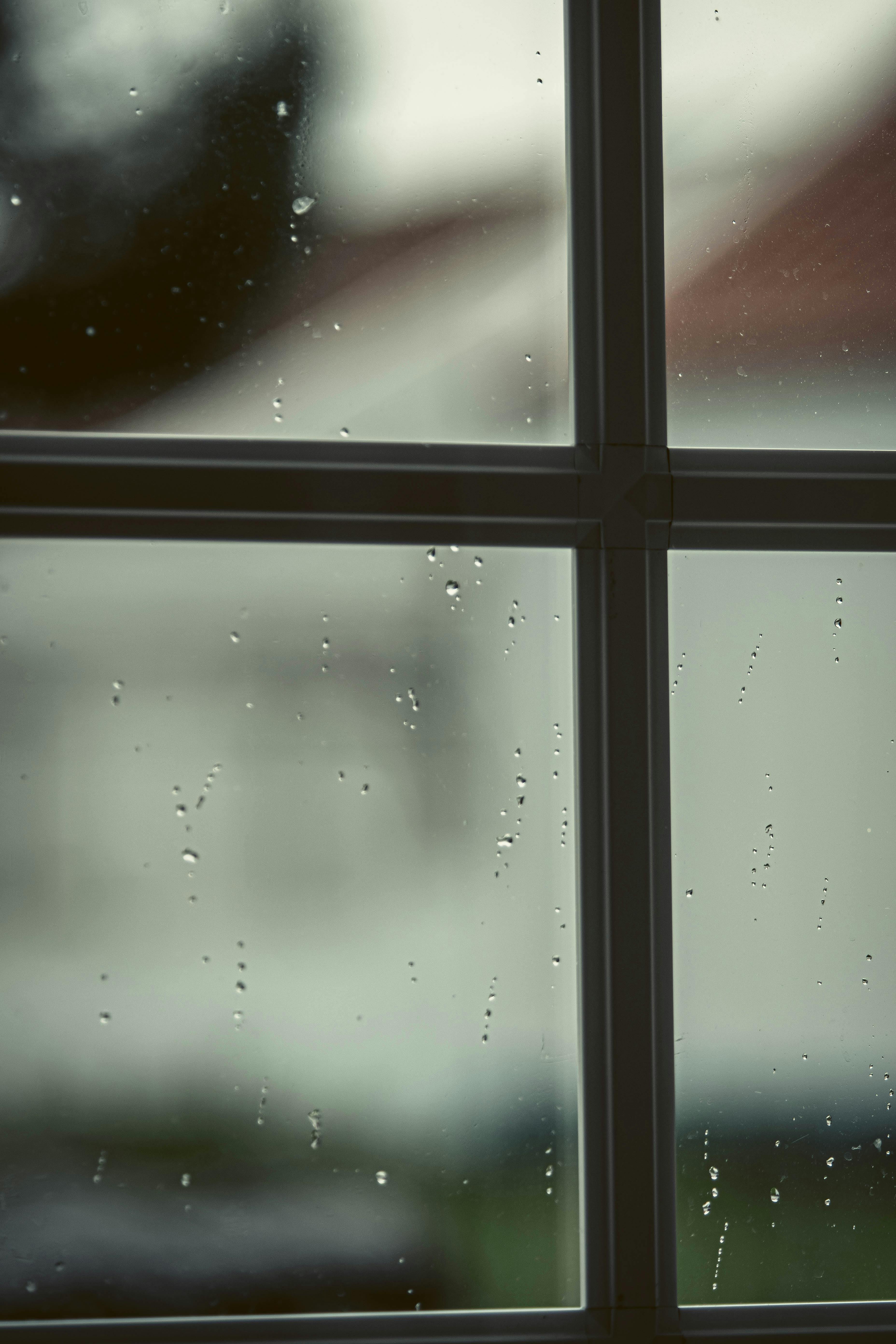 Outside The Window Photos, Download The BEST Free Outside The Window ...