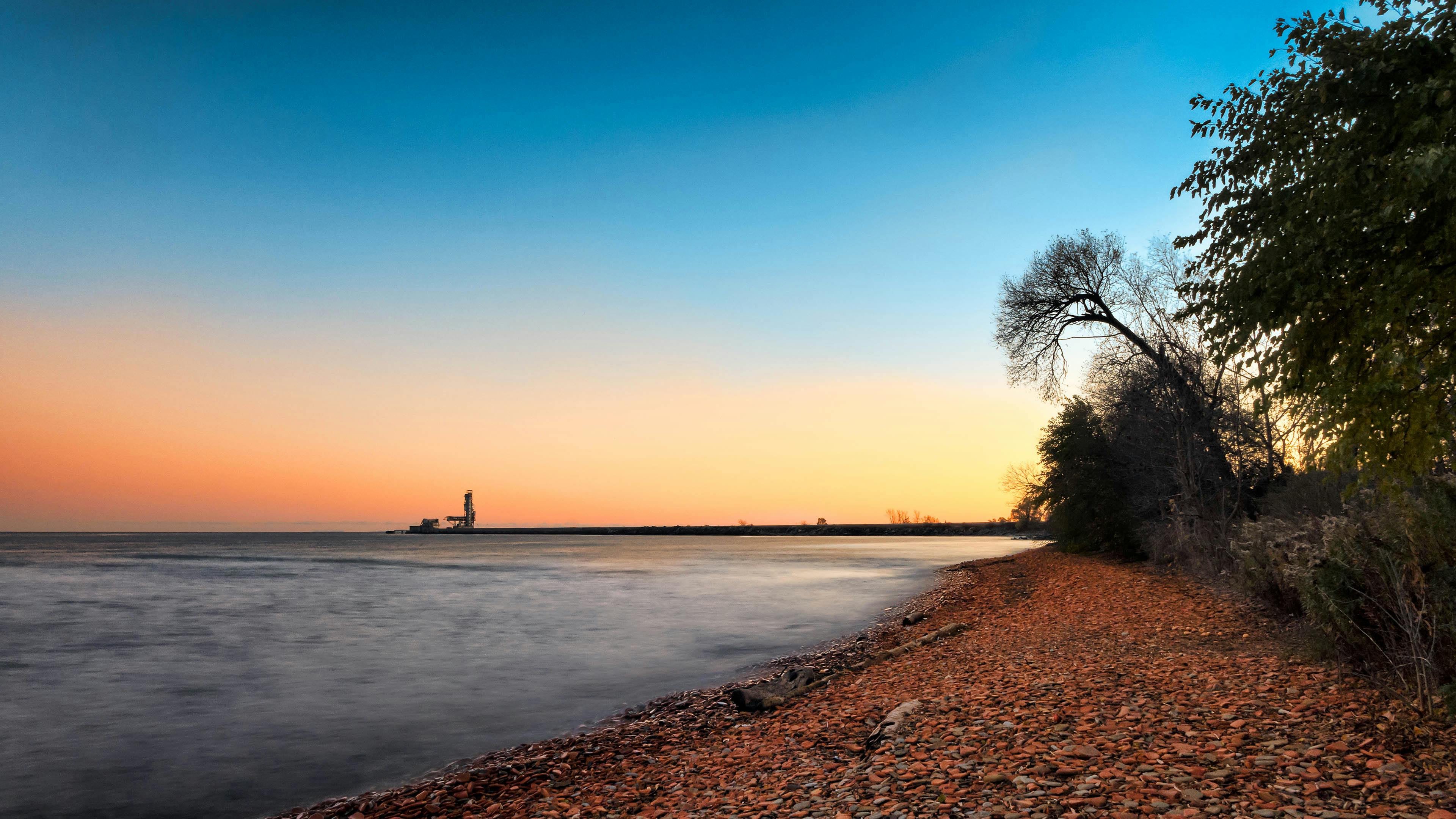 Trees on Shoreline Under Blue Sky · Free Stock Photo